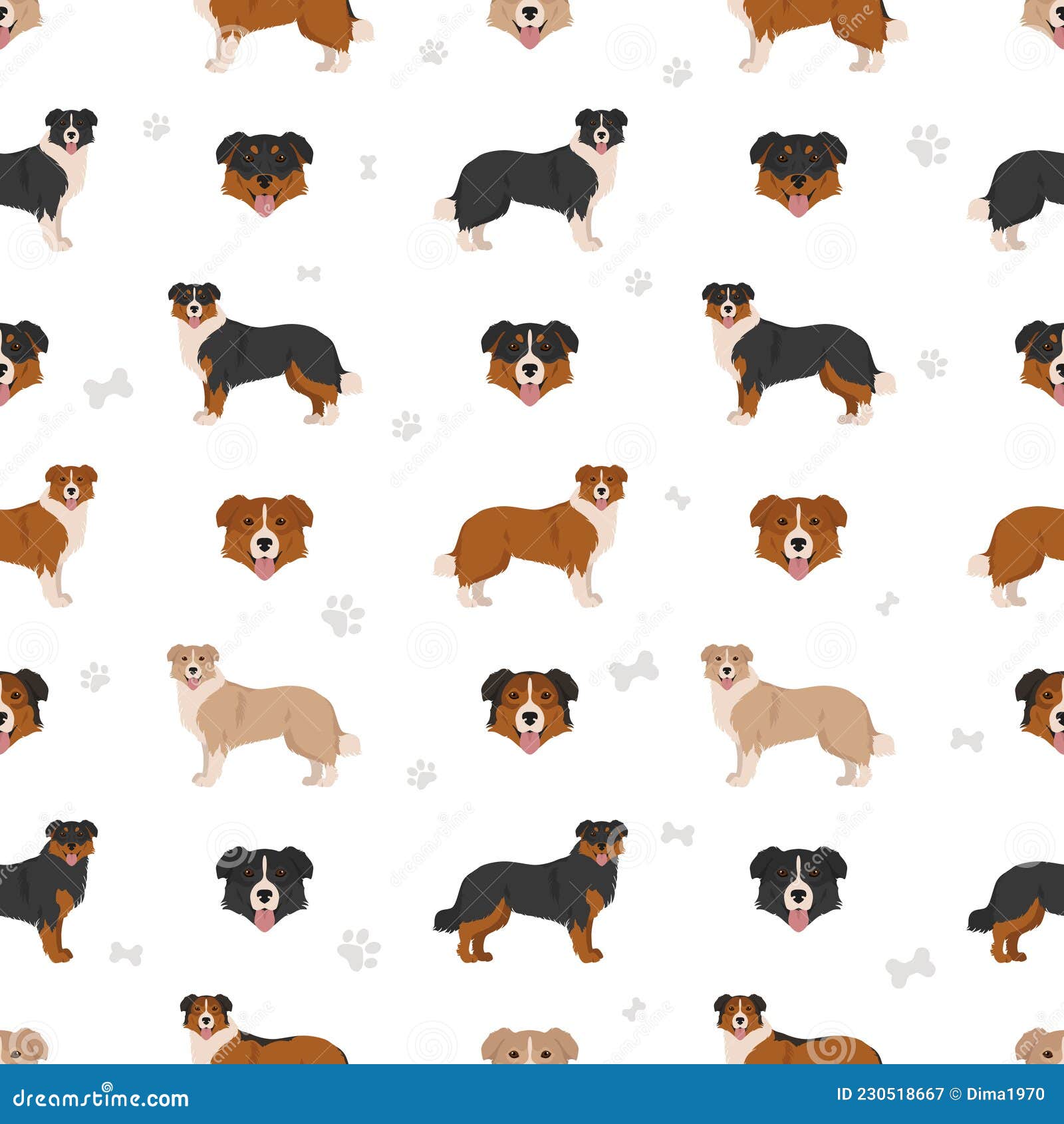 English Shepherd Seamless Pattern. Different Poses, Coat Colors Set ...