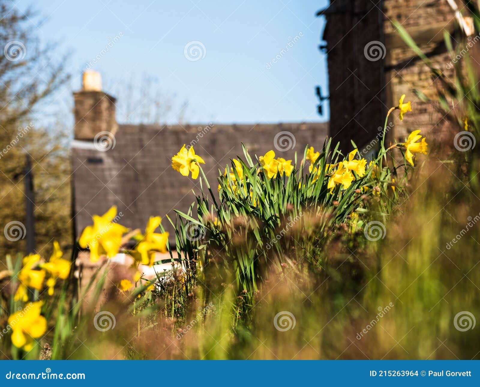 English Spring Time Village Stock Photo - Image of green, adventure ...