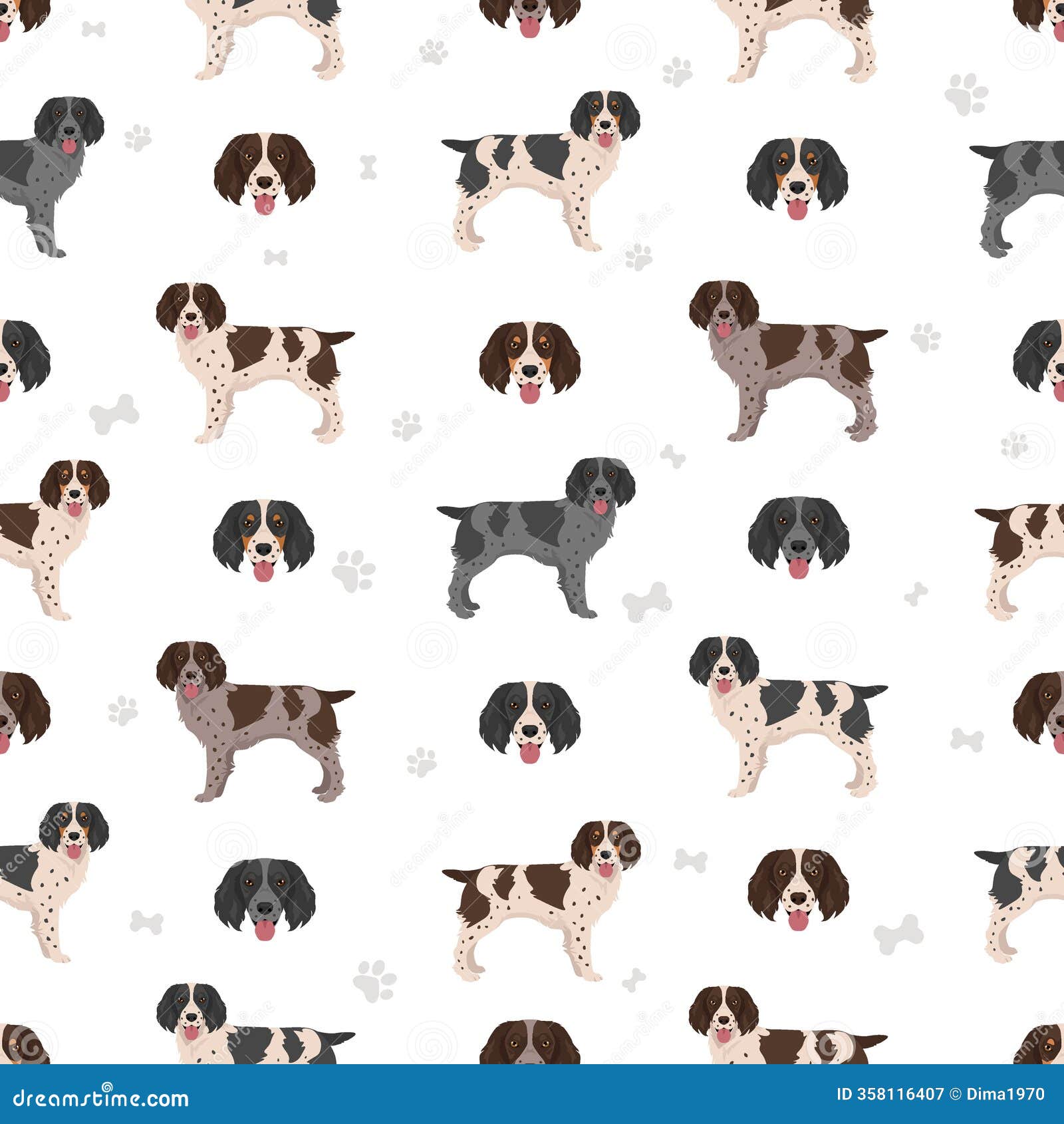 English Springer Spaniel Field Bred Seamless Pattern. Different Poses ...