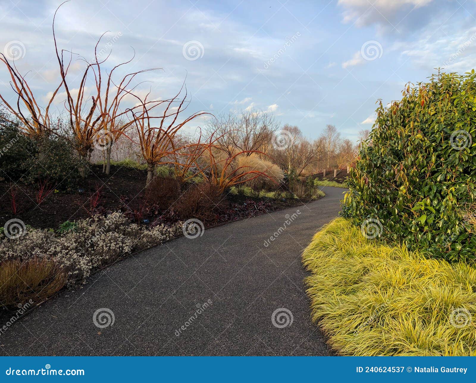 English Winter Garden with Path and Cloud Sky Stock Image - Image of ...