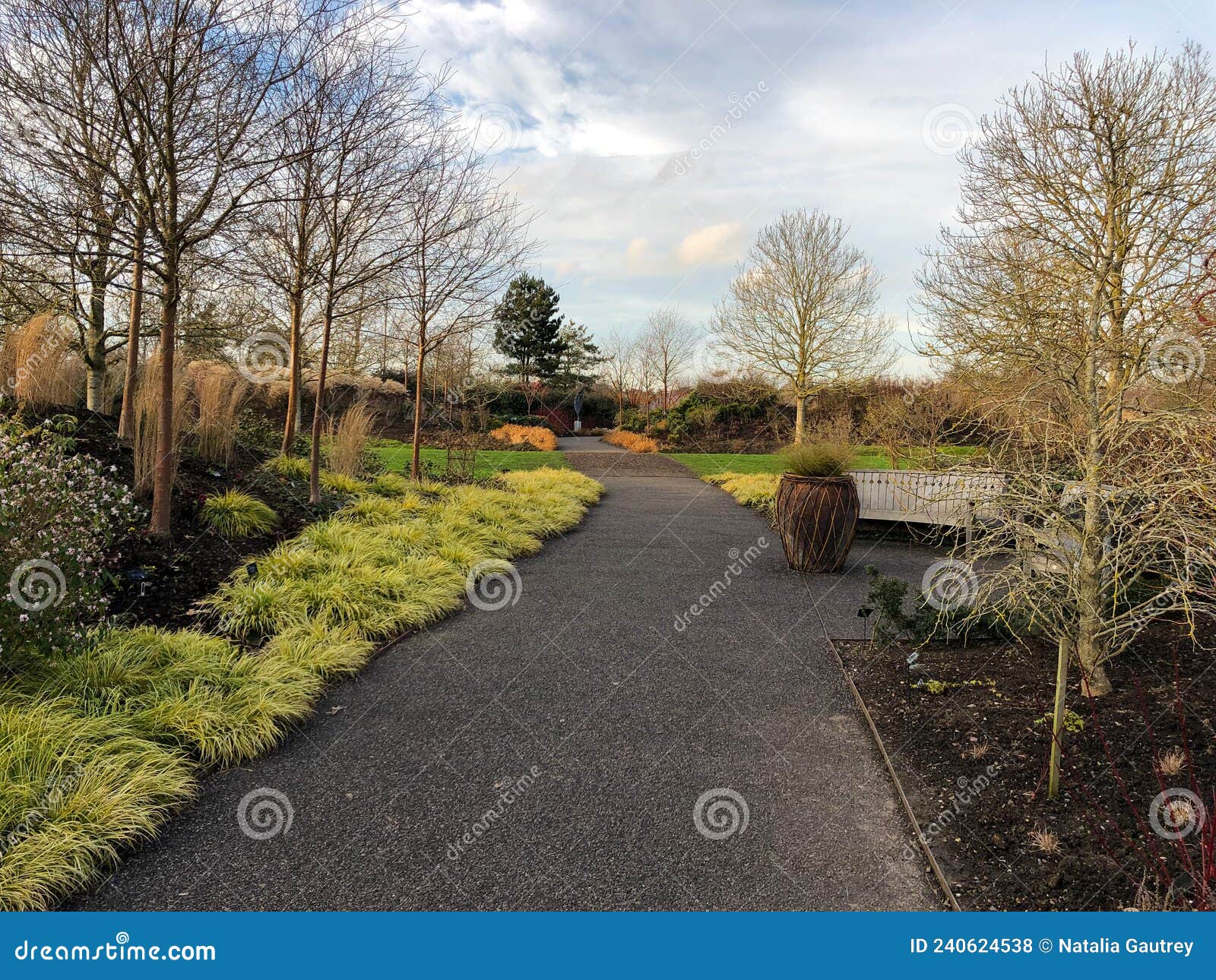 English Winter Garden with Path and Cloud Sky Stock Photo - Image of ...