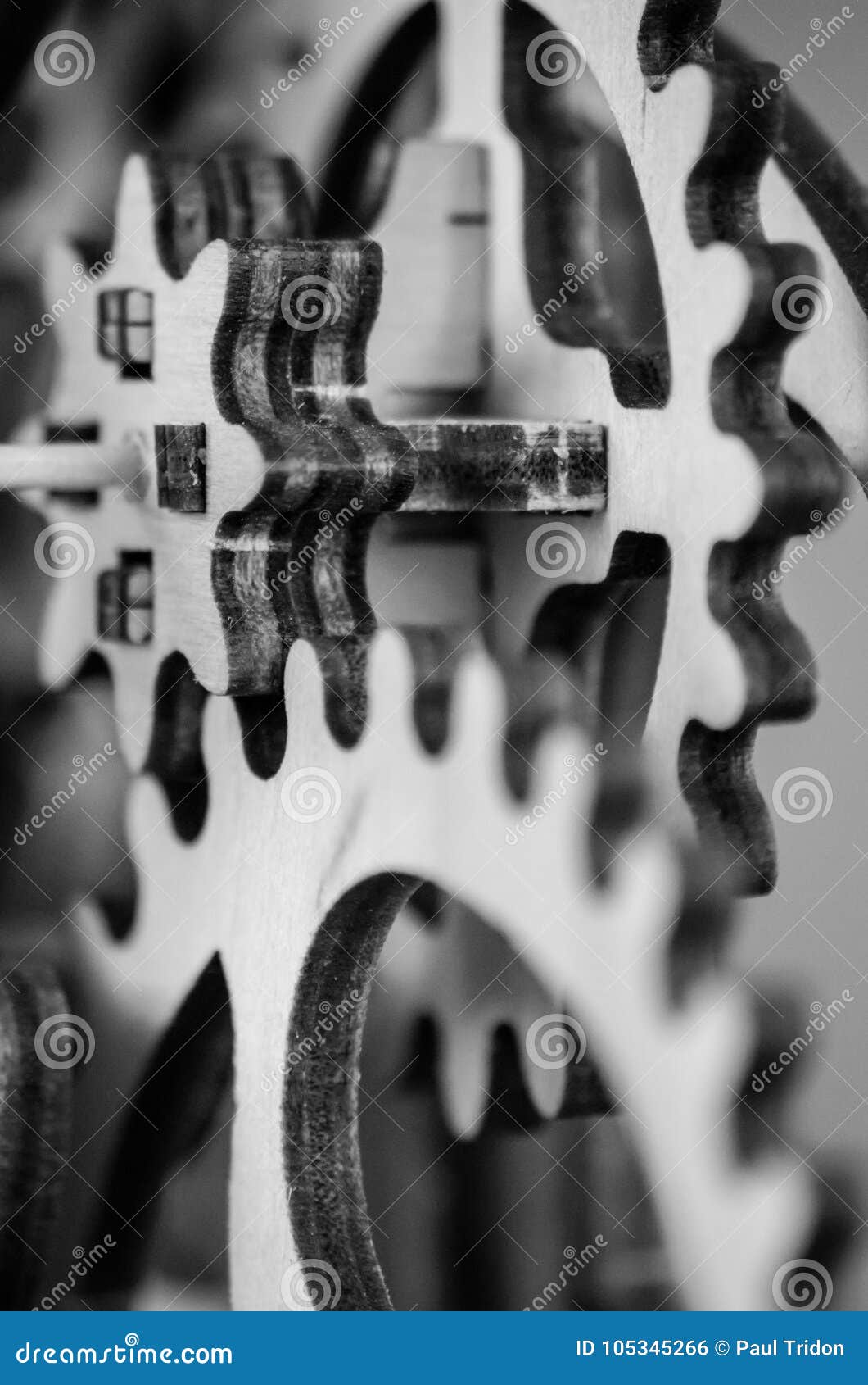 Engranajes De Madera En Blanco Y Negro Foto de archivo - Imagen de ...