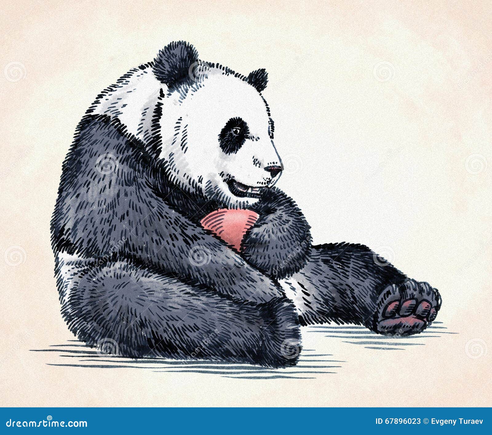 Engrave Ink Draw Panda Illustration Stock Illustration - Illustration ...
