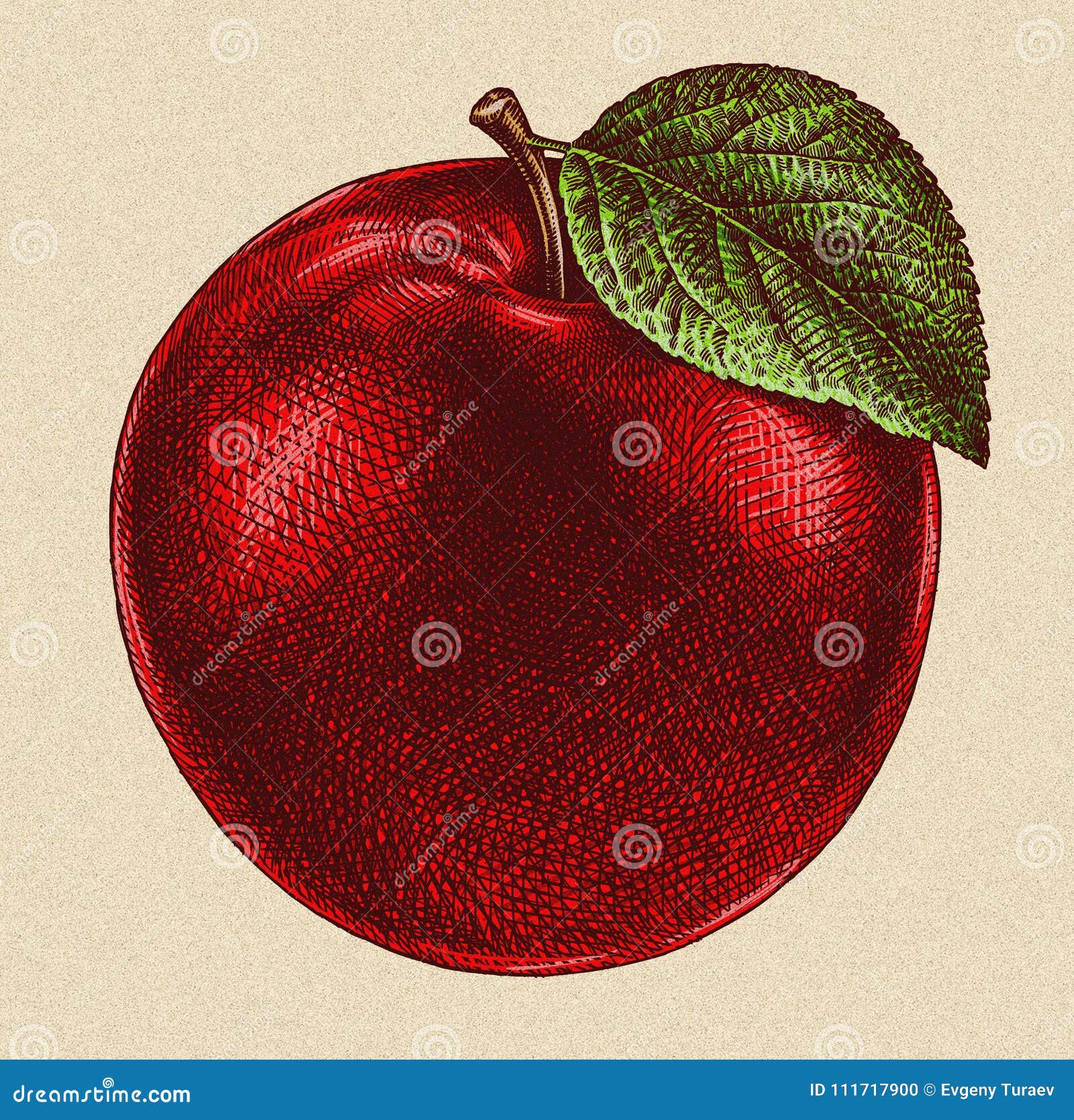 Engrave Isolated Apple Hand Drawn Graphic Illustration Stock ...