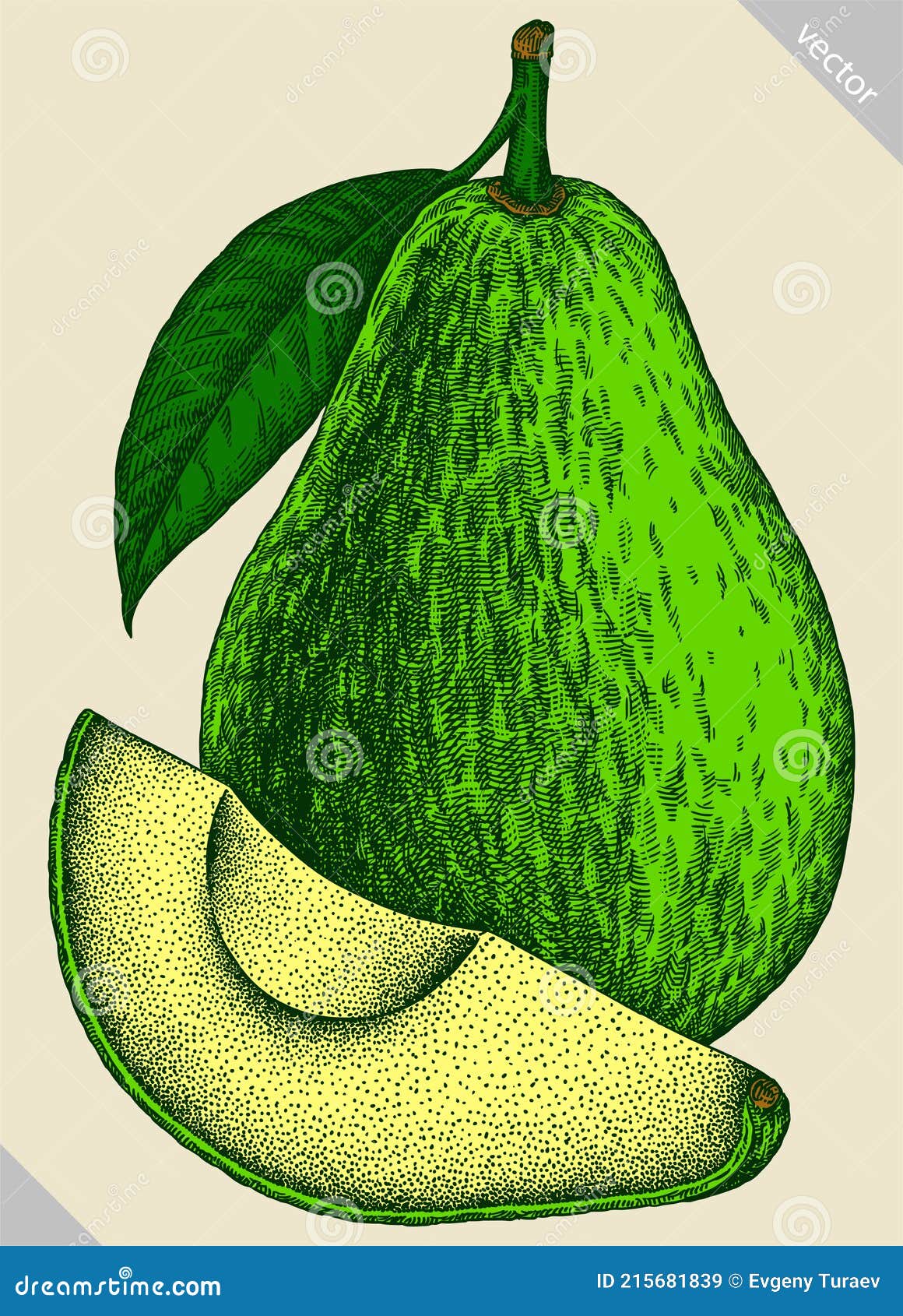 Engrave Isolated Avocado Hand Drawn Graphic Illustration Stock Vector ...