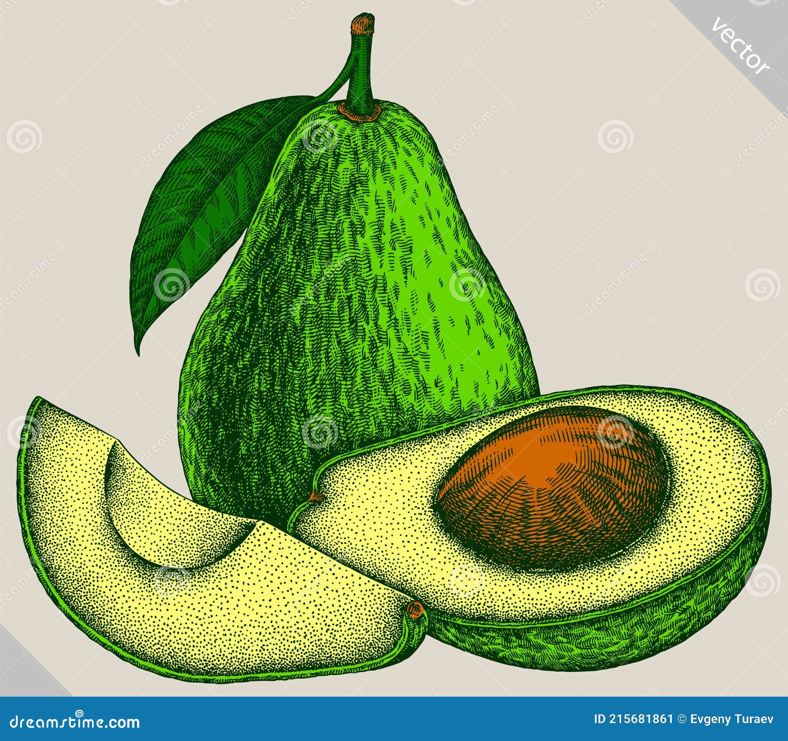 Avocado Hand Drawing Style Pattern Cartoon Vector | CartoonDealer.com ...