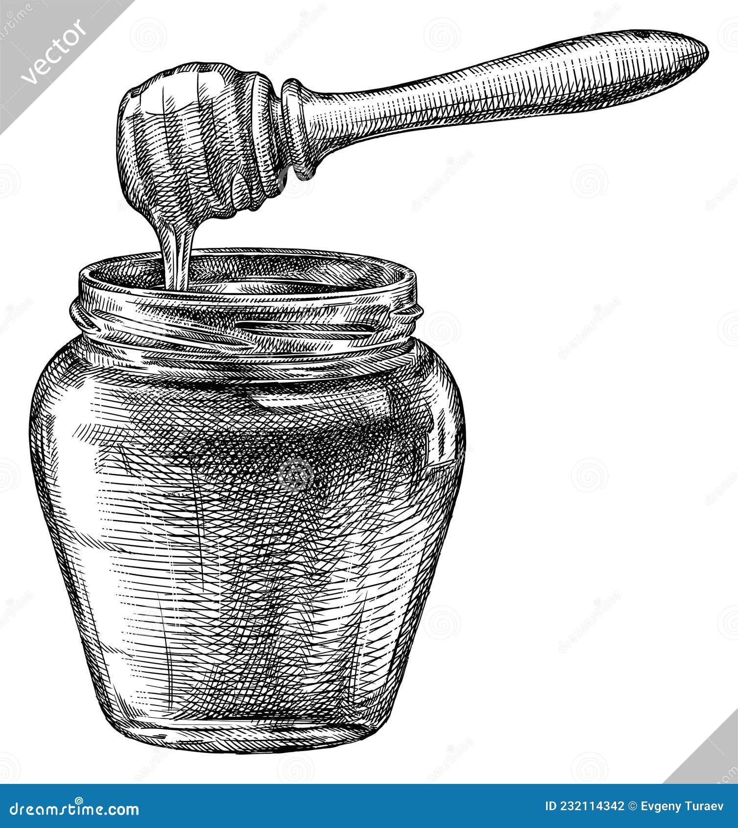 Engrave Isolated Honey Hand Drawn Graphic Vector Illustration Stock ...