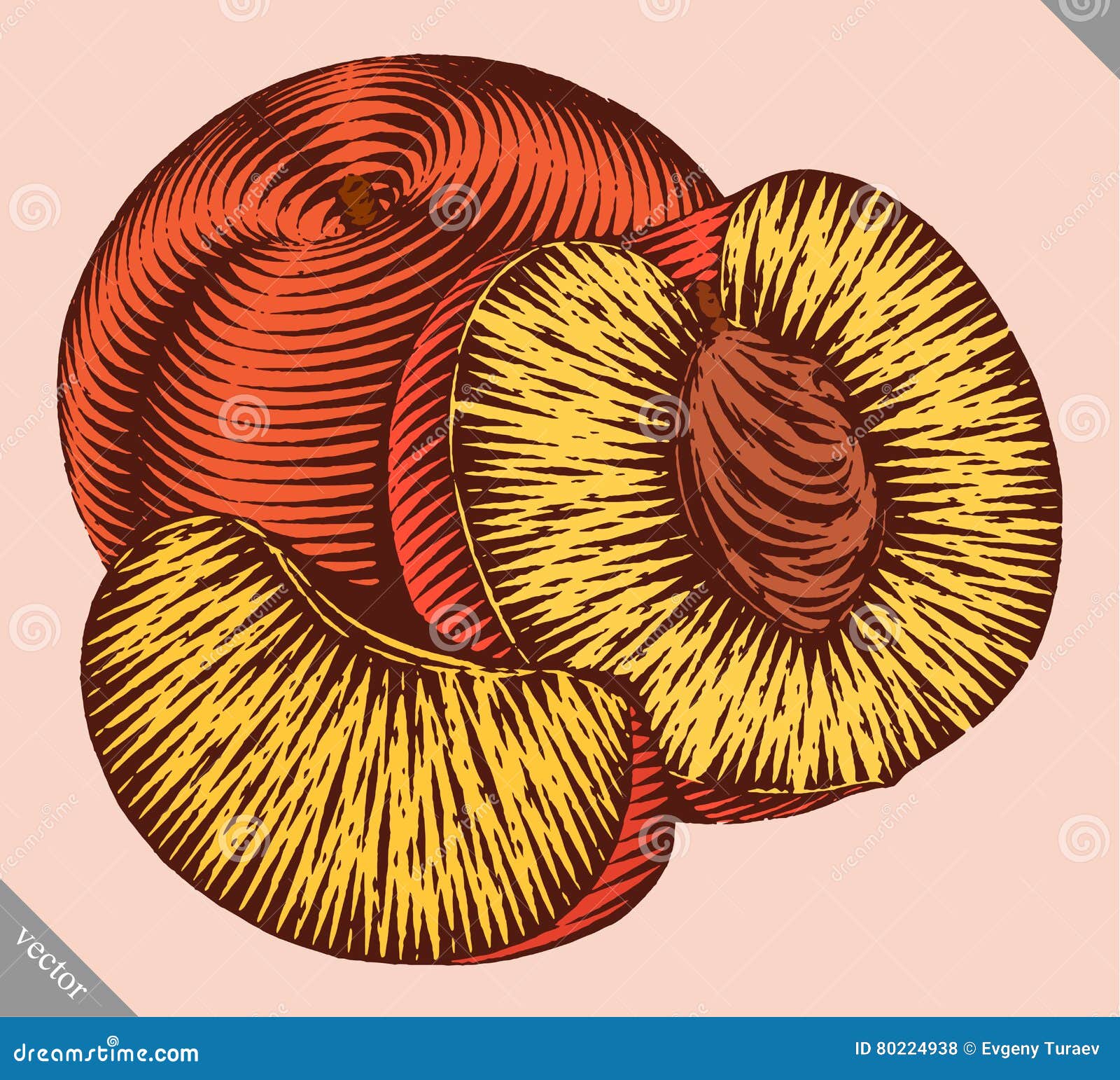 Engrave Vector Stock Illustrations – 38,933 Engrave Vector Stock ...