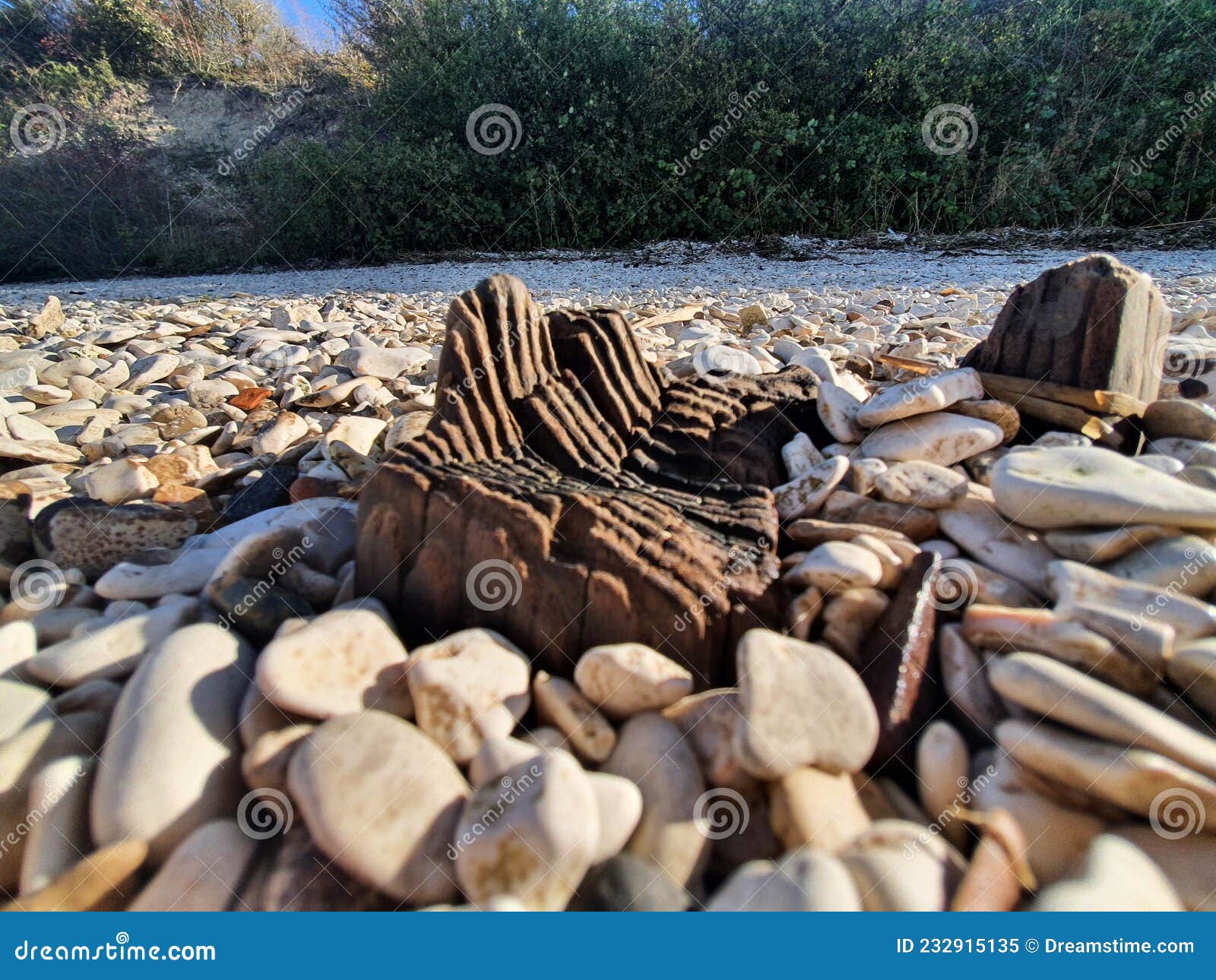 Engraved by nature stock image. Image of beach, engraved - 232915135