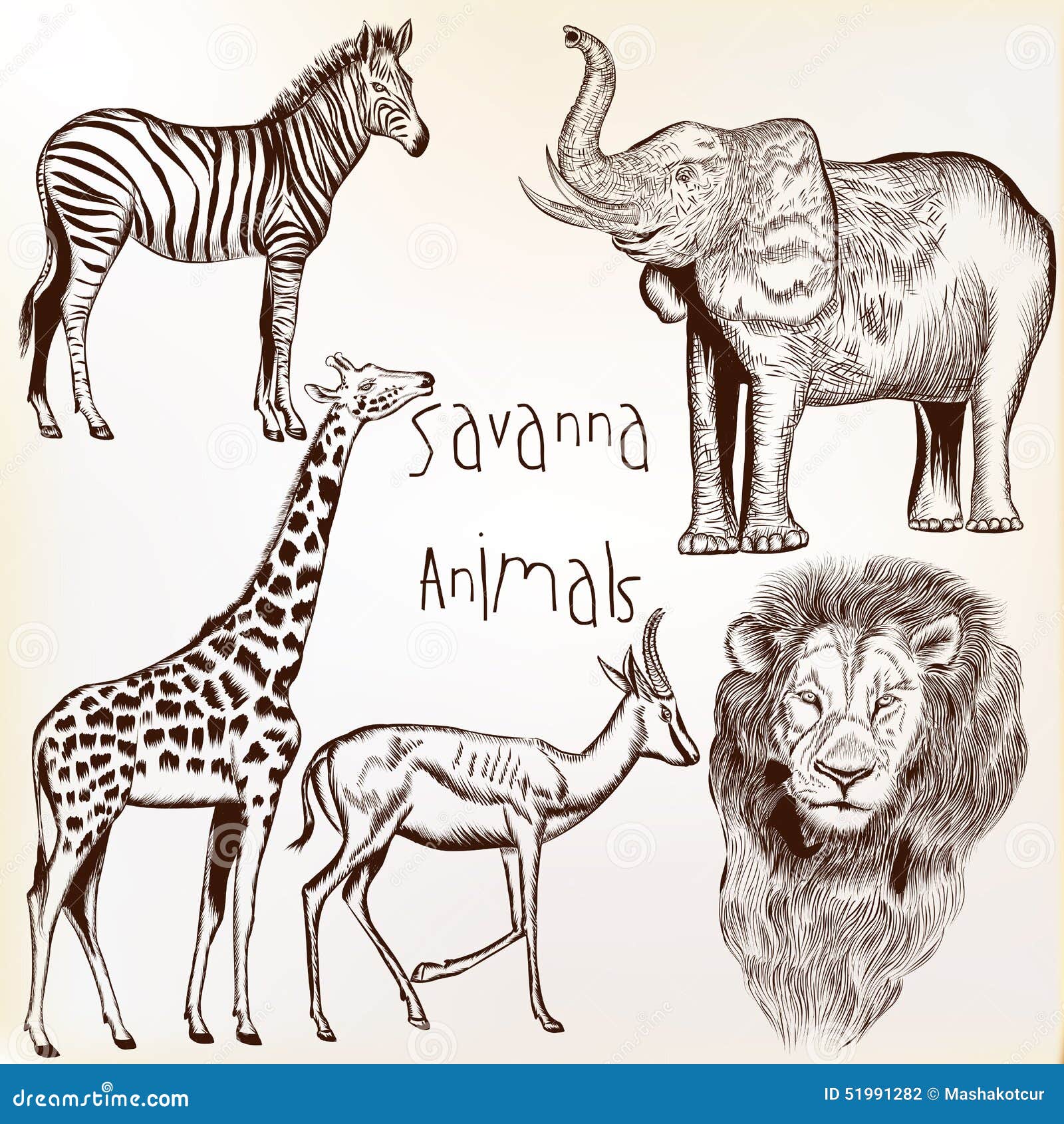 Engraved Savanna Animals Set Stock Vector - Illustration of decorative ...