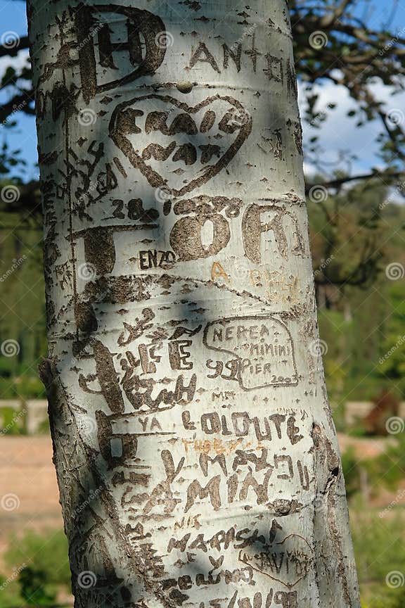 Engraved tree stock image. Image of mark, letters, alhambra - 1314431