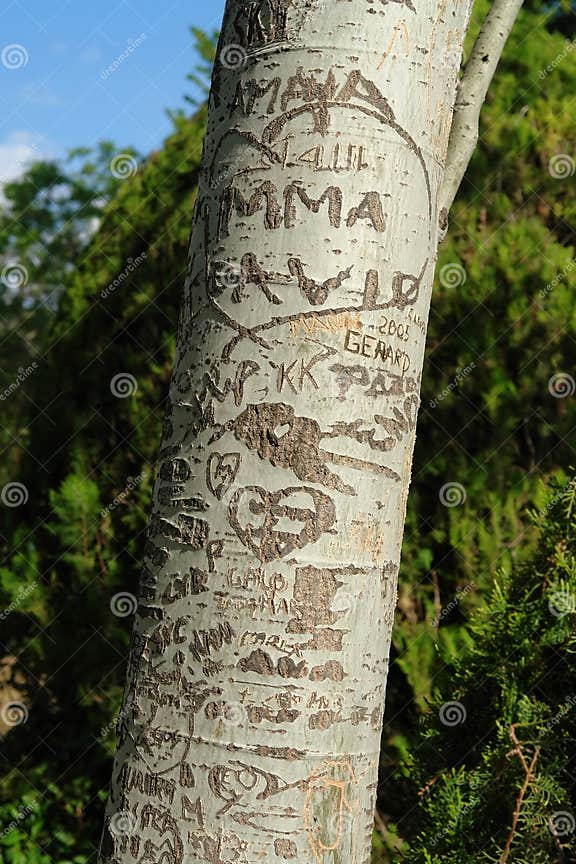 Engraved tree stock image. Image of carving, dates, granada - 1314433