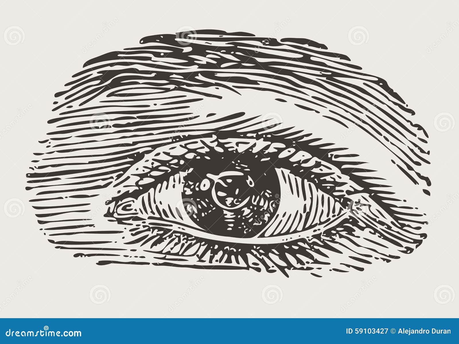 Engraved vintage eye stock vector. Illustration of healthy - 59103427