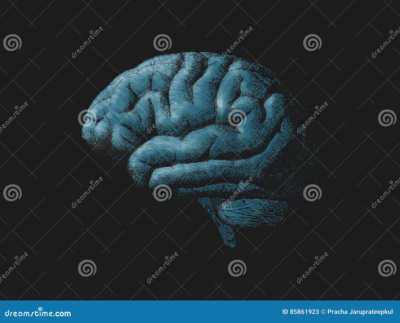 Engraving Blue Turquoise Brain on Dark BG Stock Vector - Illustration ...