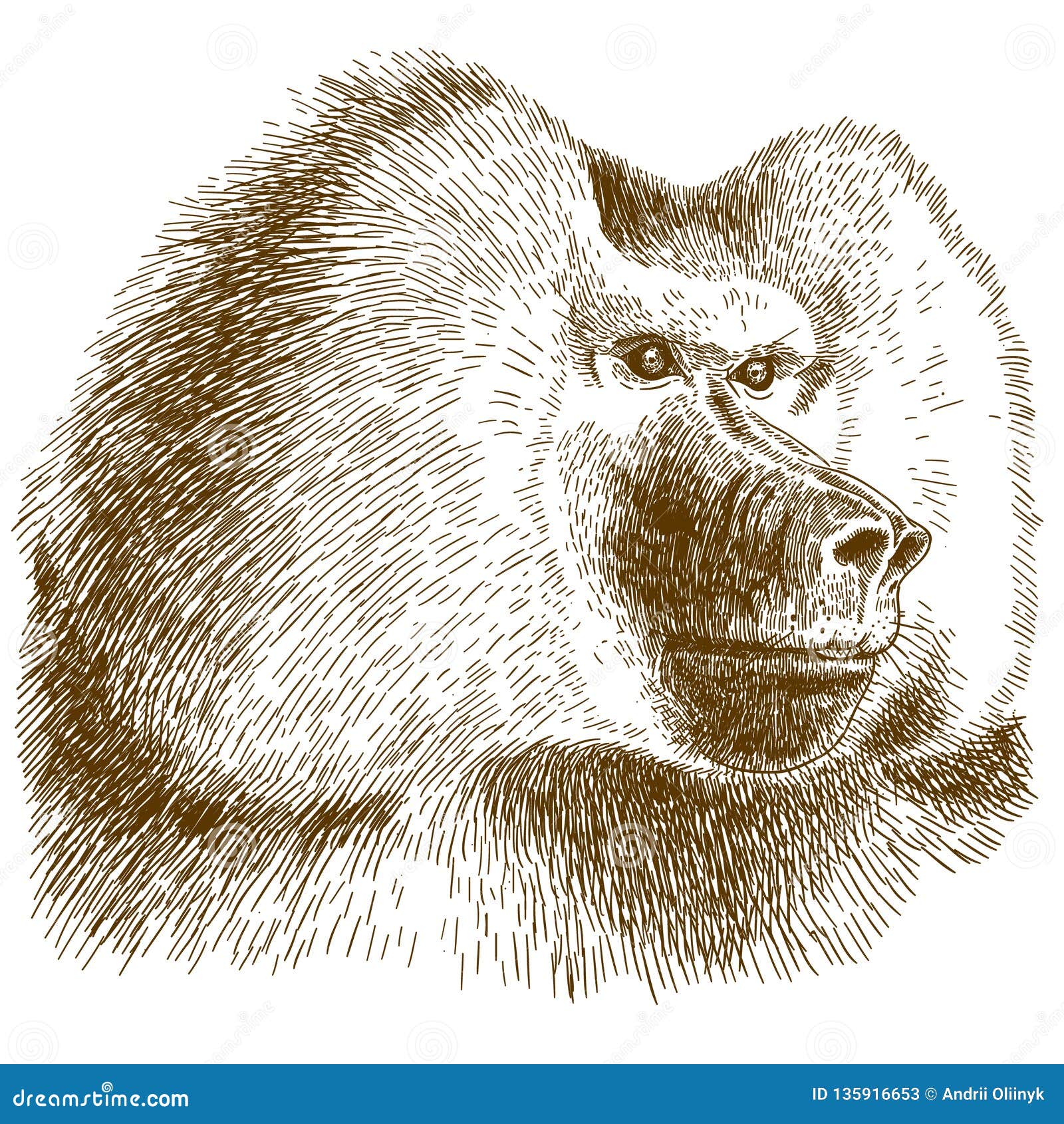 Baboon Head Mascot Logo Design Cartoon Vector | CartoonDealer.com ...