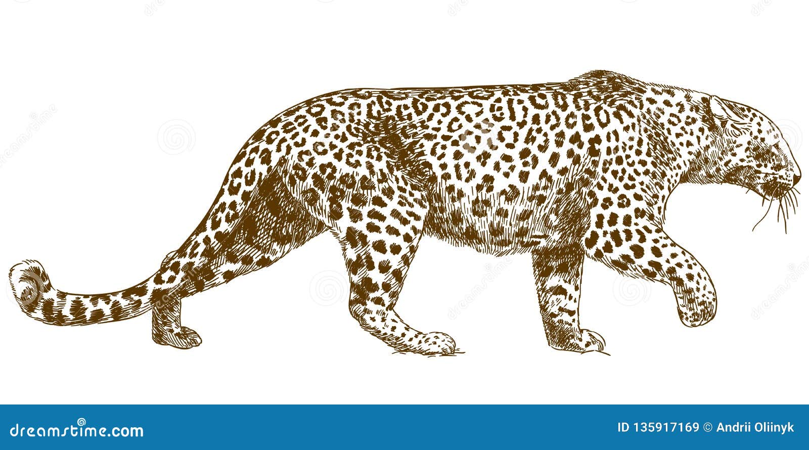 One Line Drawing Leopard Stock Illustrations – 122 One Line Drawing ...