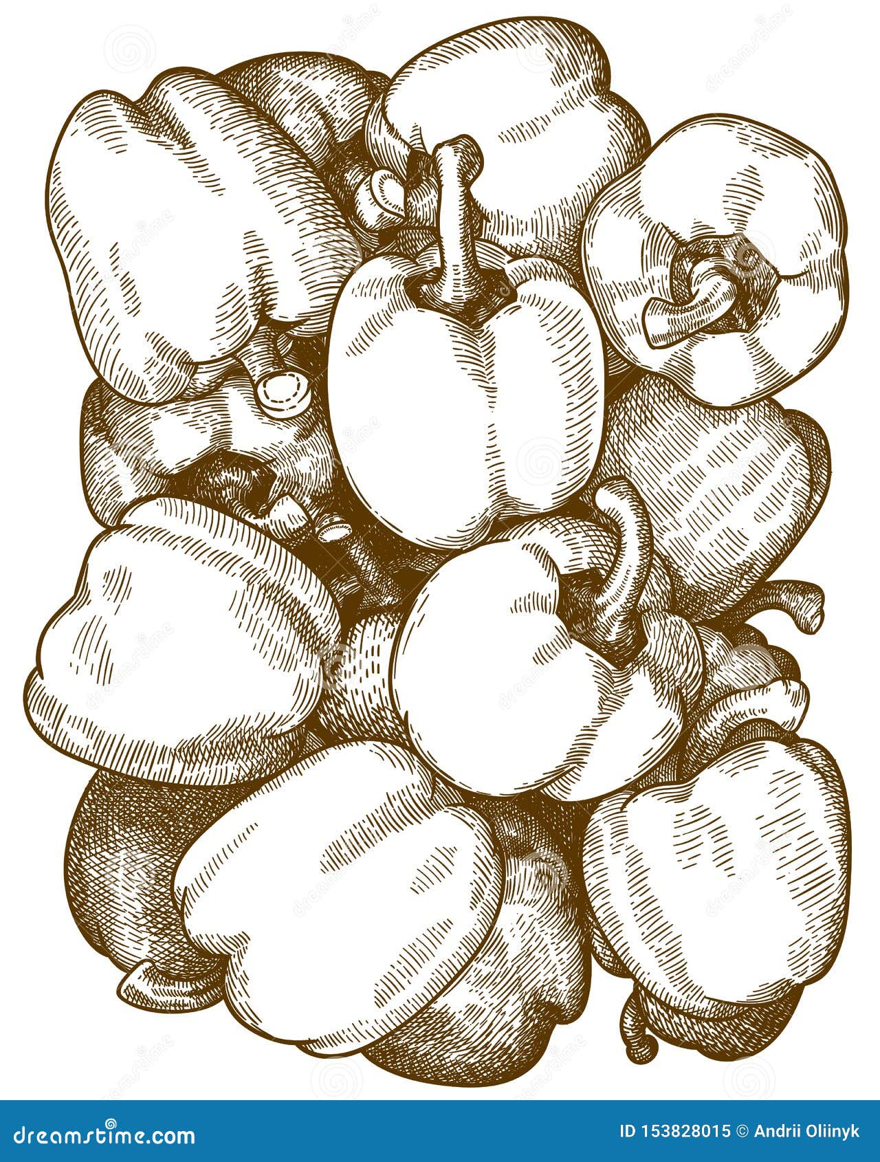 Pepper Pattern Drawing On Lineart Style Vector Illustration ...