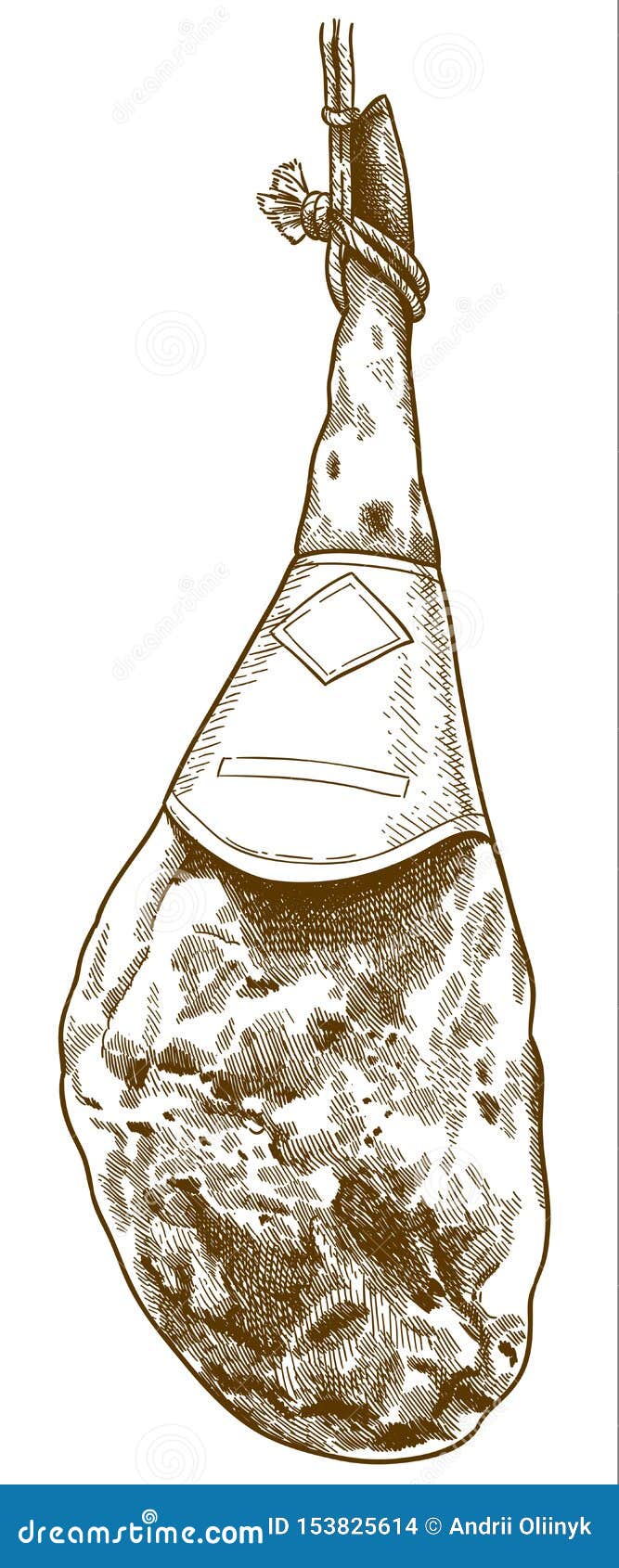 Jamon. Hamon. Traditional Spanish Food. Meat. Pig Leg. Vector ...