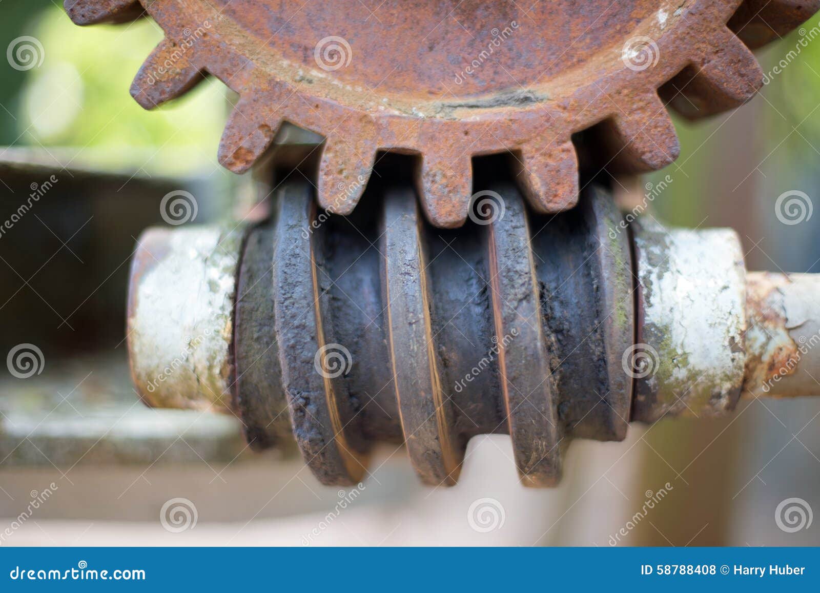 Engrenagem e sem-fim foto de stock. Imagem de engrenagem - 58788408