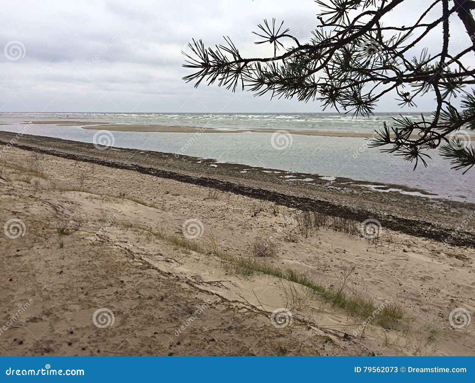 Engure Beach stock image. Image of beach, engure, baltic - 79562073