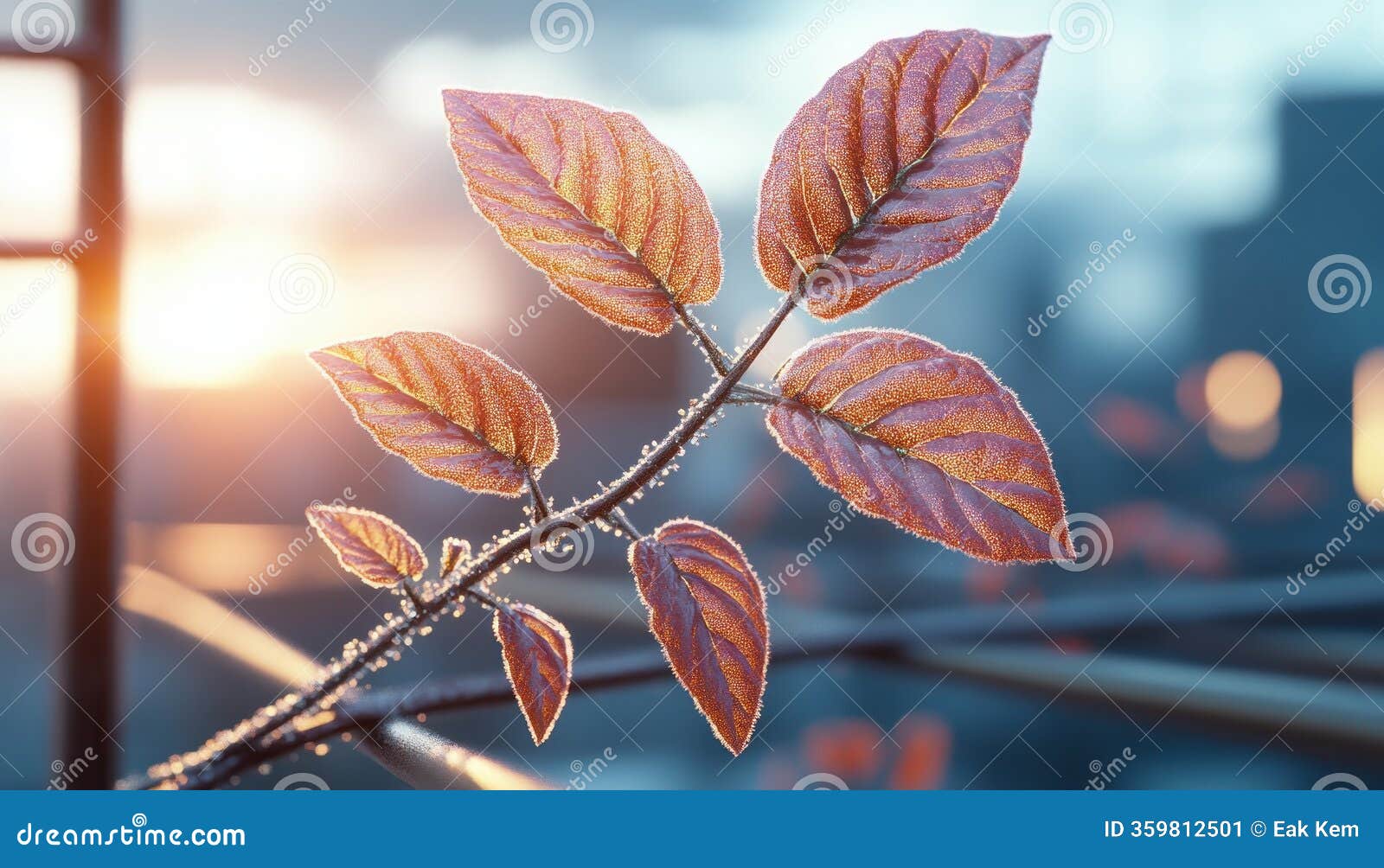 Enhance Project Success Visual Representation of an Effective Workflow ...