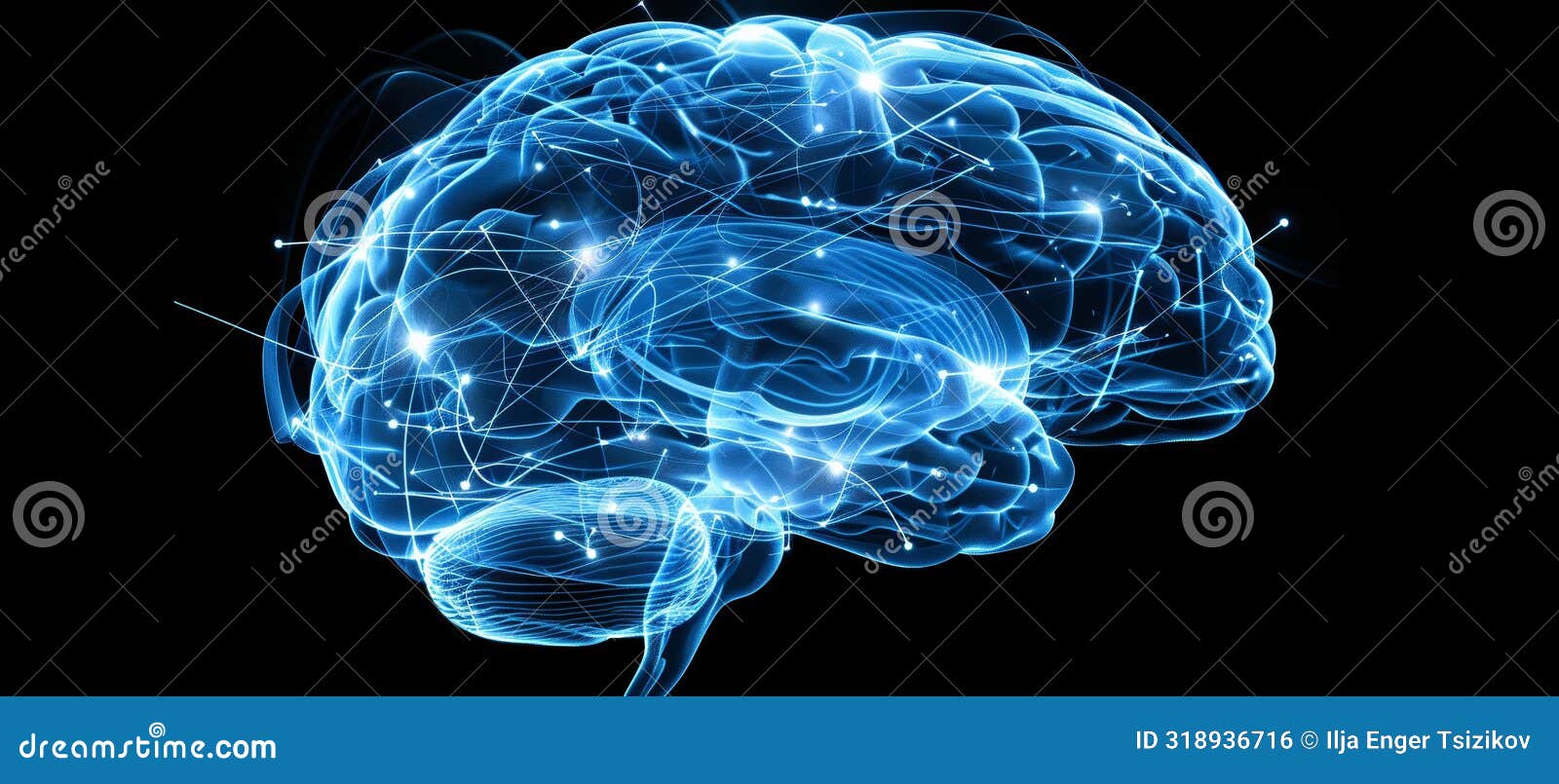 Enhanced Brain X Ray Illustration Revealing Neural Pathways for ...