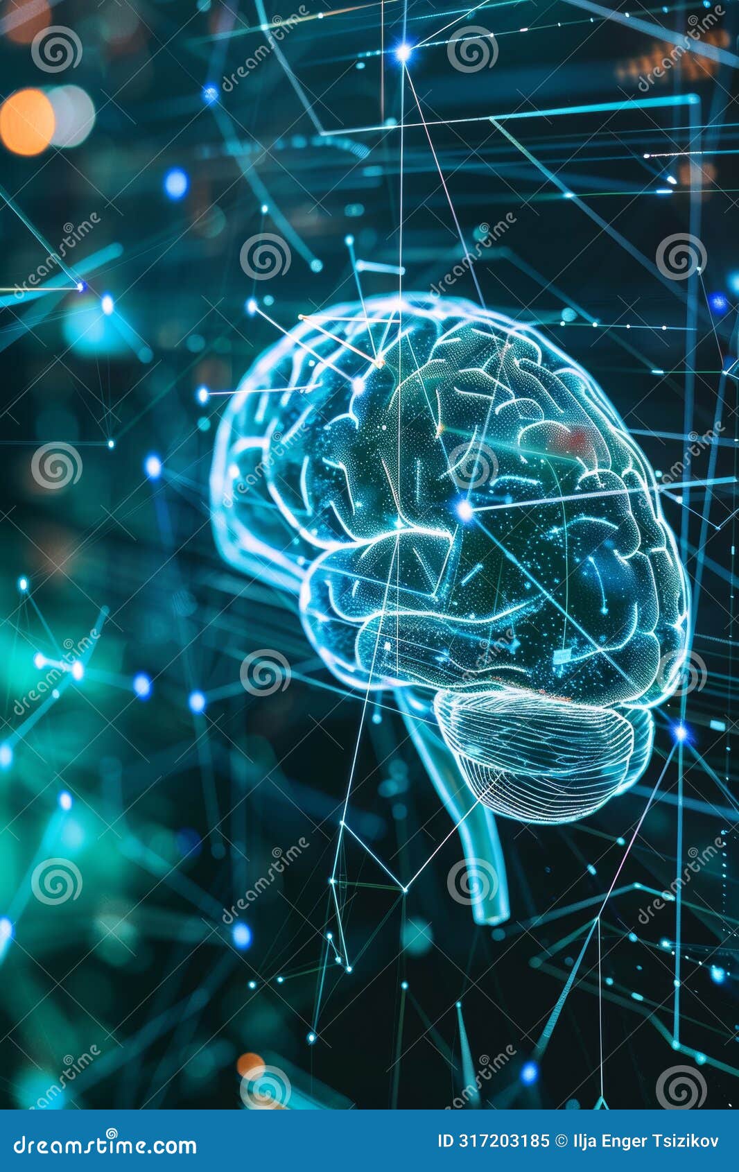 Enhanced Brain X Ray Image Revealing Neural Pathways For Advanced ...