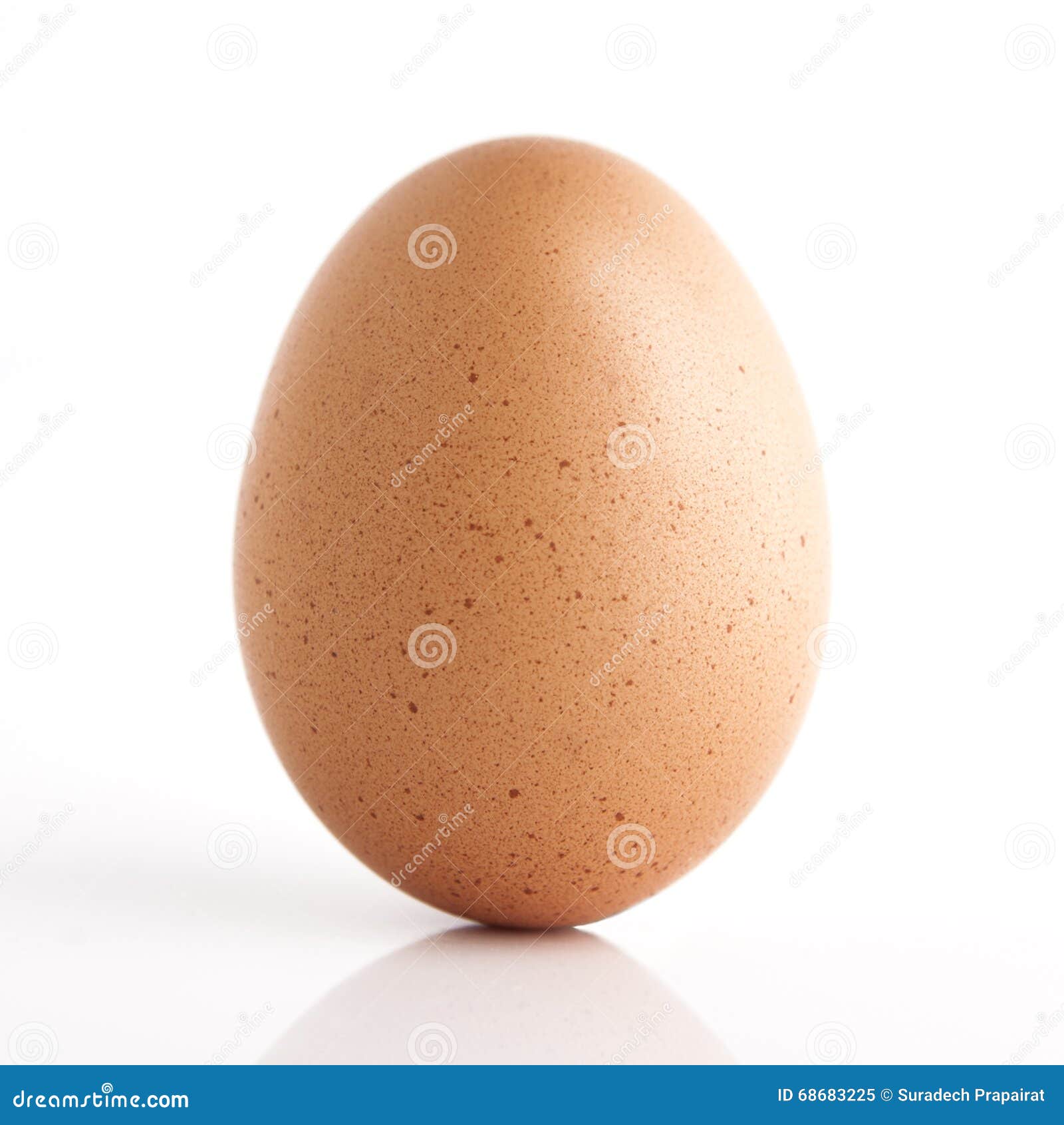 Enig bruin kippenei stock afbeelding. Image of voedsel - 68683225