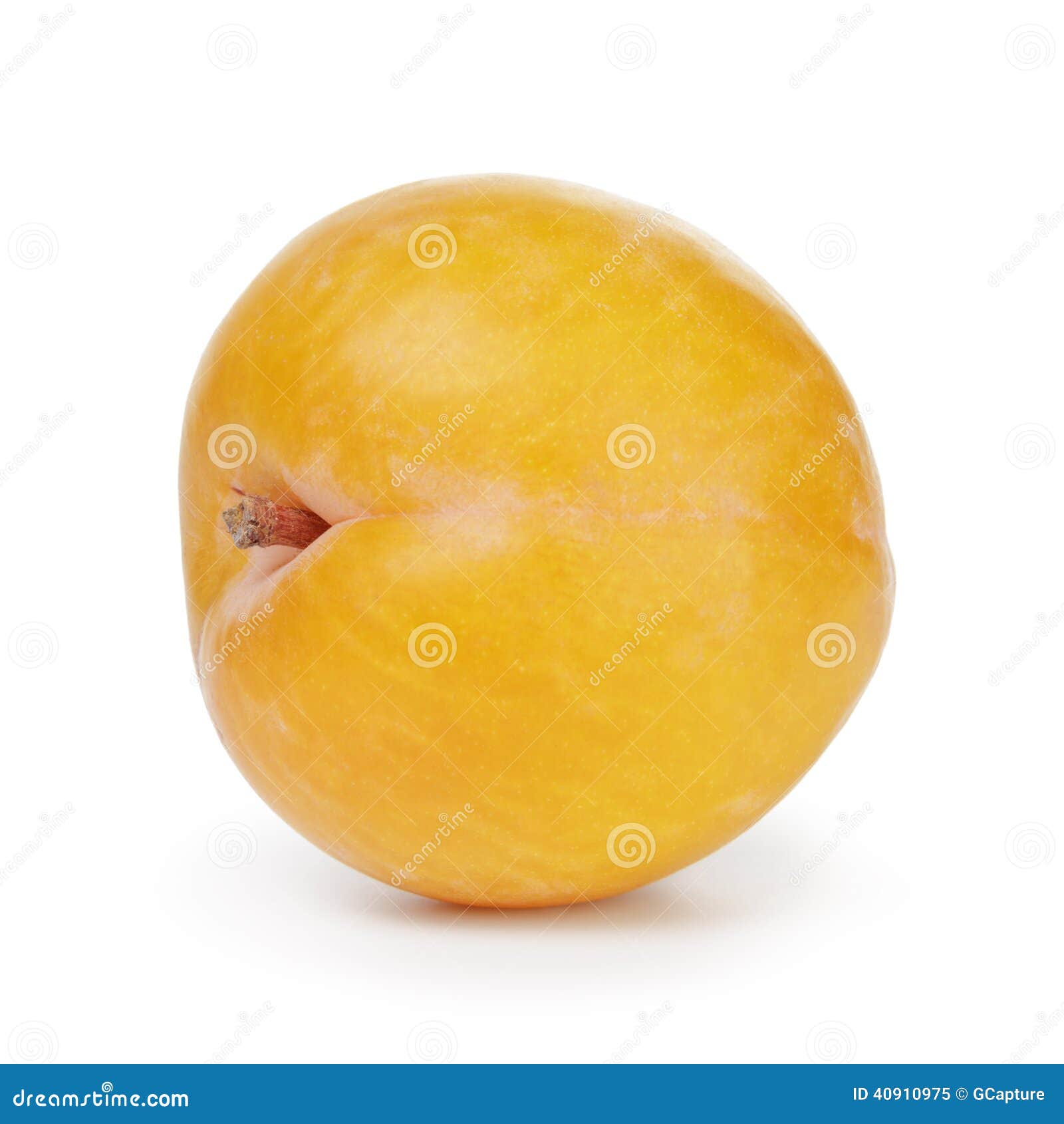 Enige gele pruim stock afbeelding. Image of zoet, vrucht - 40910975