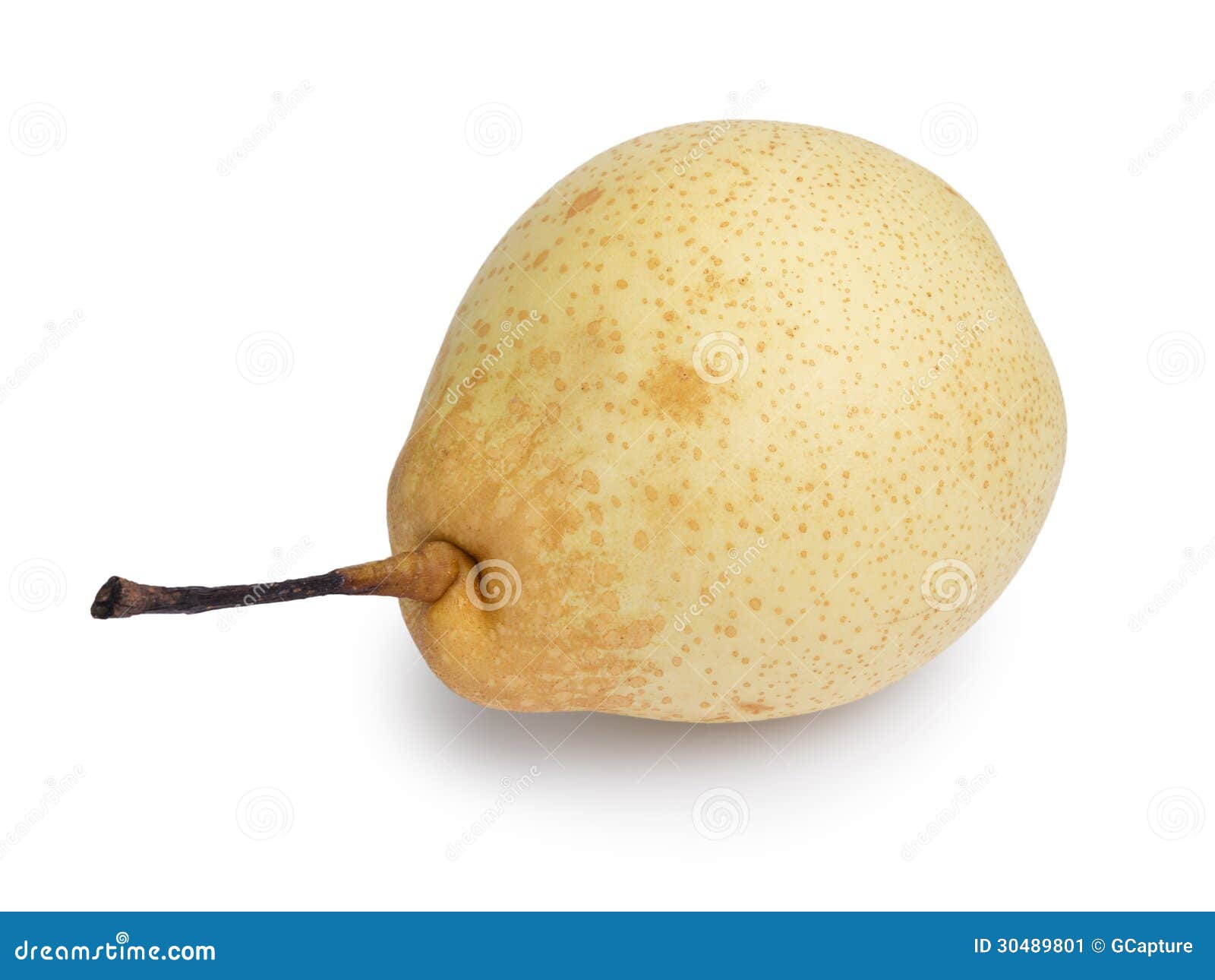 Enige nashipeer stock afbeelding. Image of enkelvoudig - 30489801