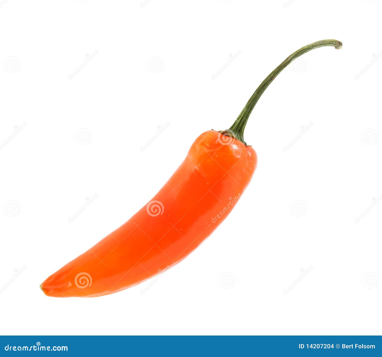Enige Oranje Spaanse Peper Hete Peper Stock Foto - Image of mild, peper ...