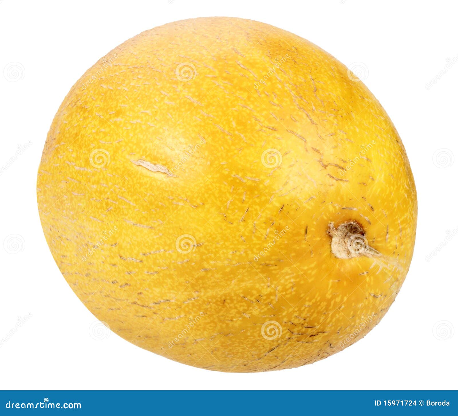 Enige rijpe gele meloen stock foto. Image of voorwerp - 15971724