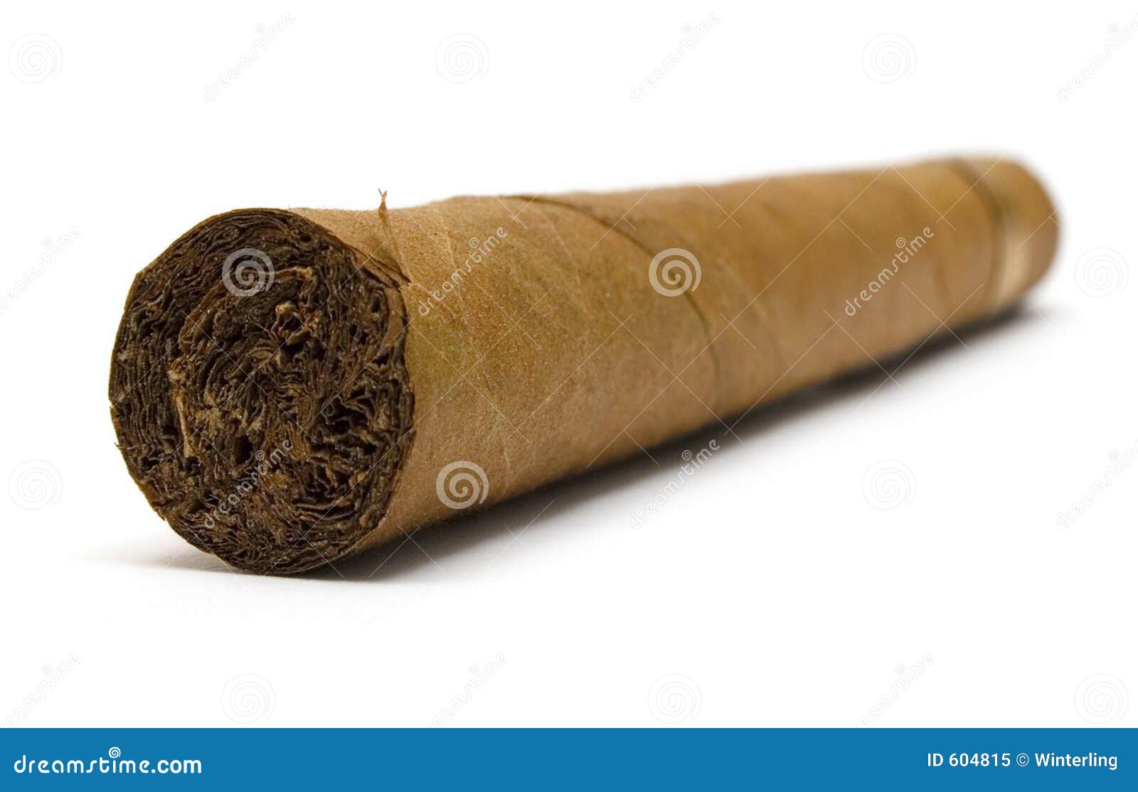 Enige Sigaar stock afbeelding. Image of handgemaakt, rookwolk - 604815