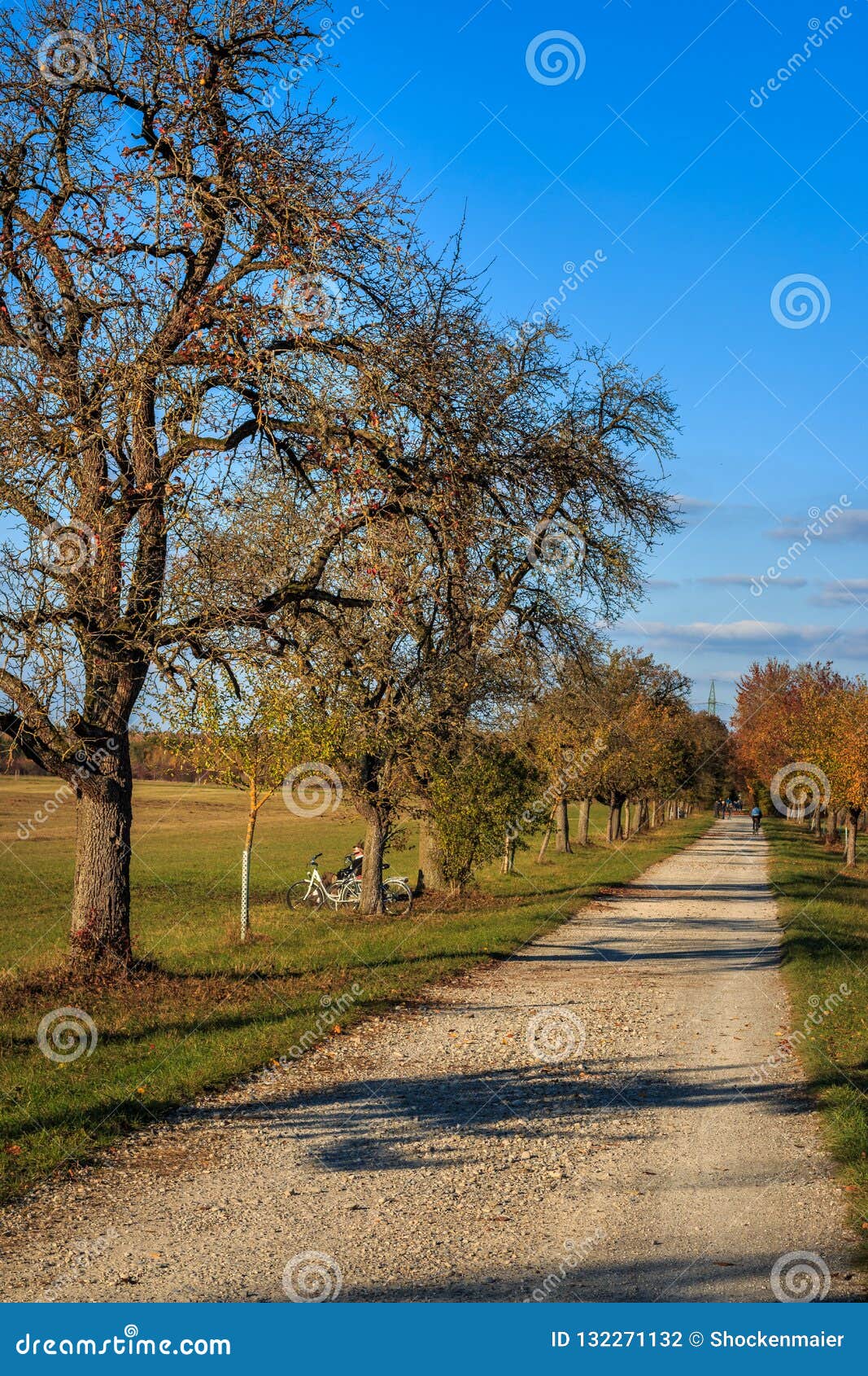 Enjoy autumn editorial photography. Image of hike, sunny - 132271132