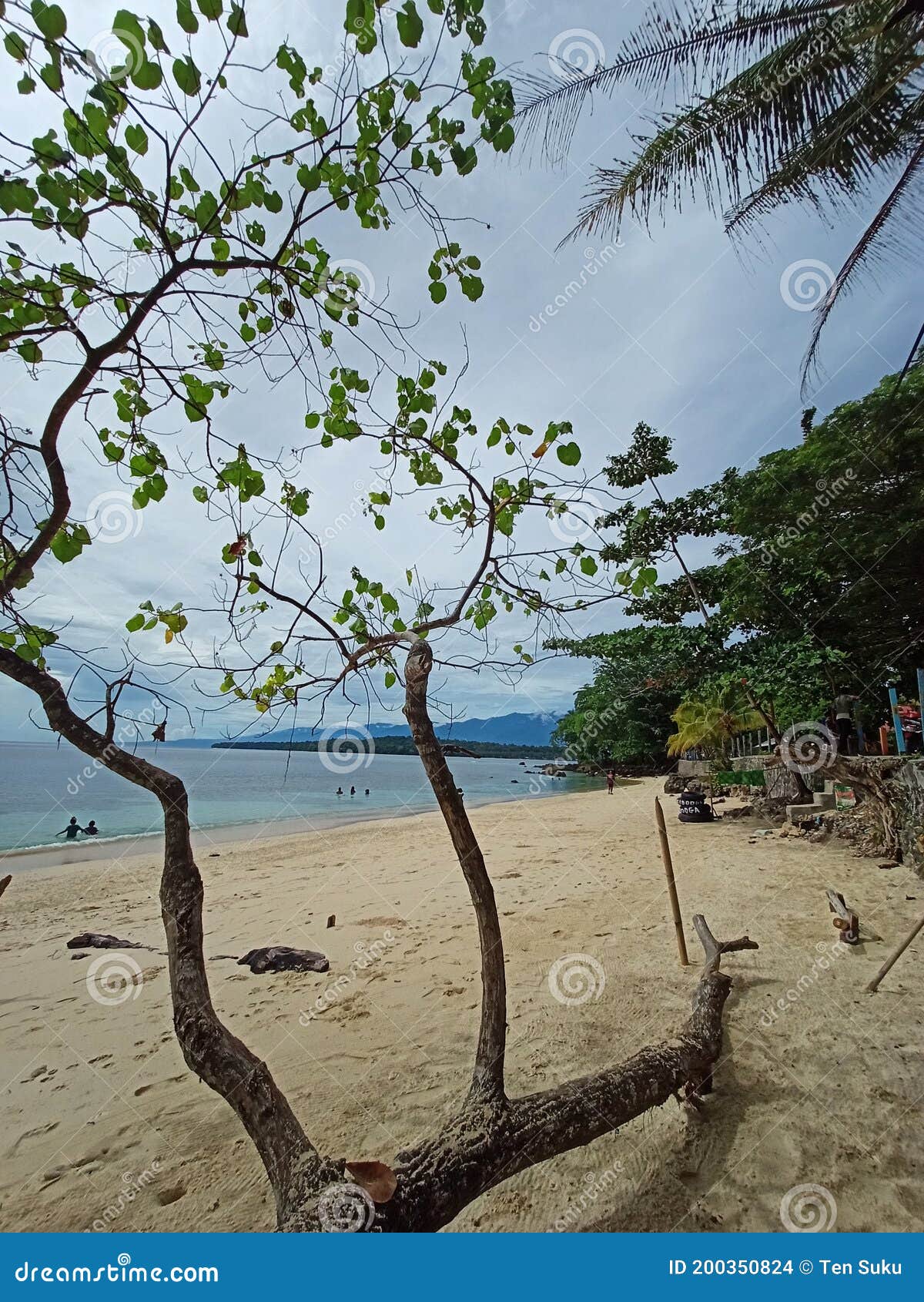 Enjoy a beach day stock photo. Image of enjoy, nature - 200350824