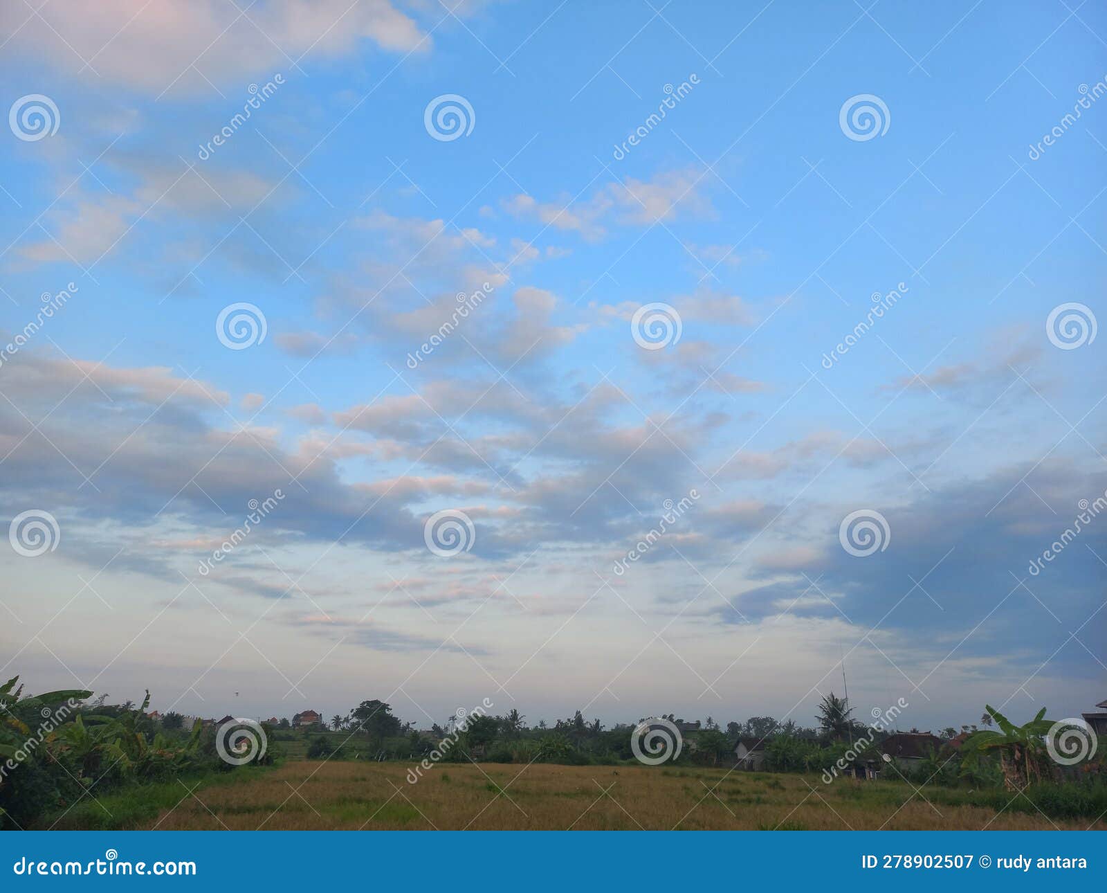 Enjoy the Beautiful Natural Atmosphere in the Afternoon Stock Image ...