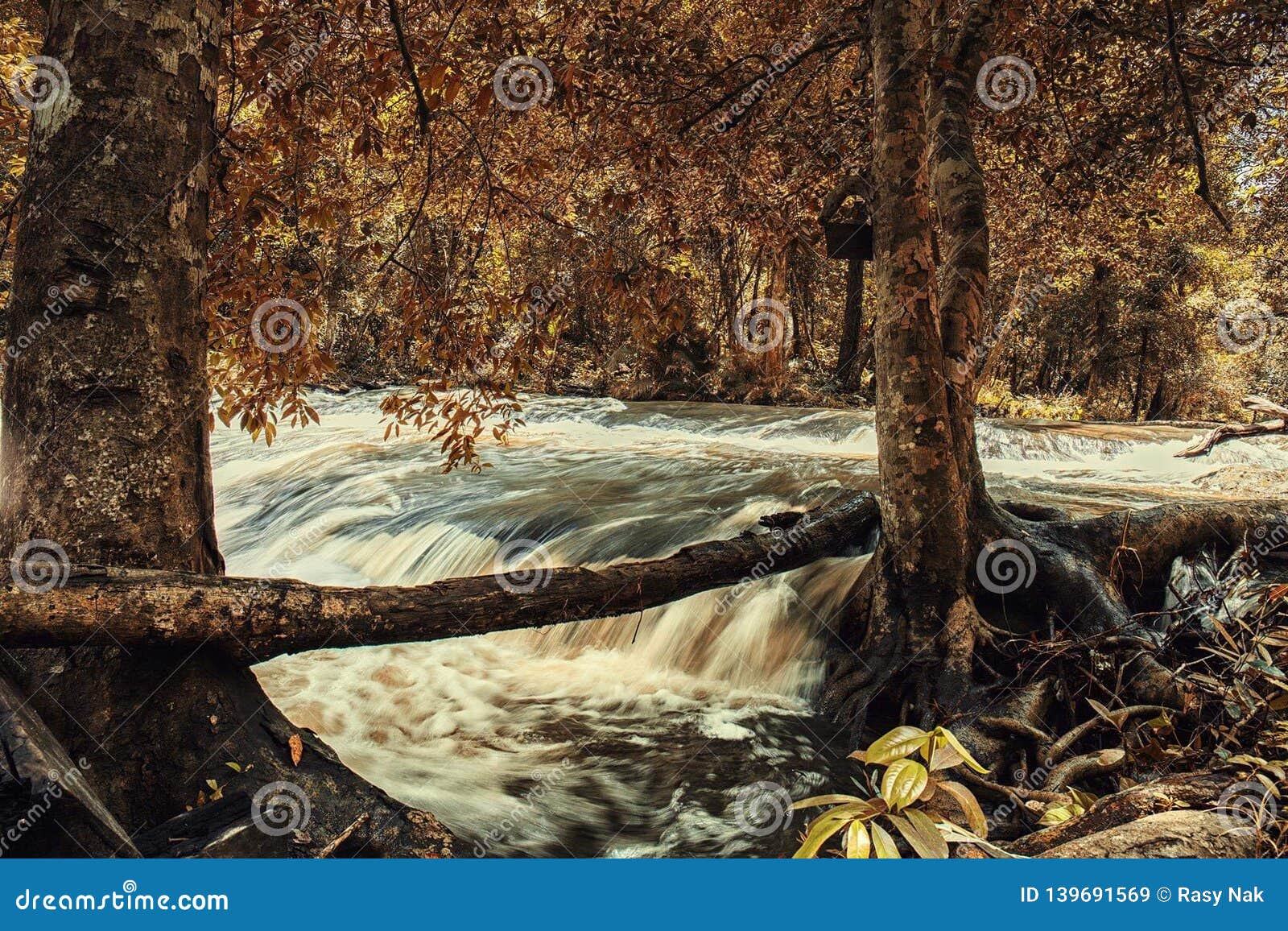 Beautiful stream stock image. Image of stream, enjoy - 139691569