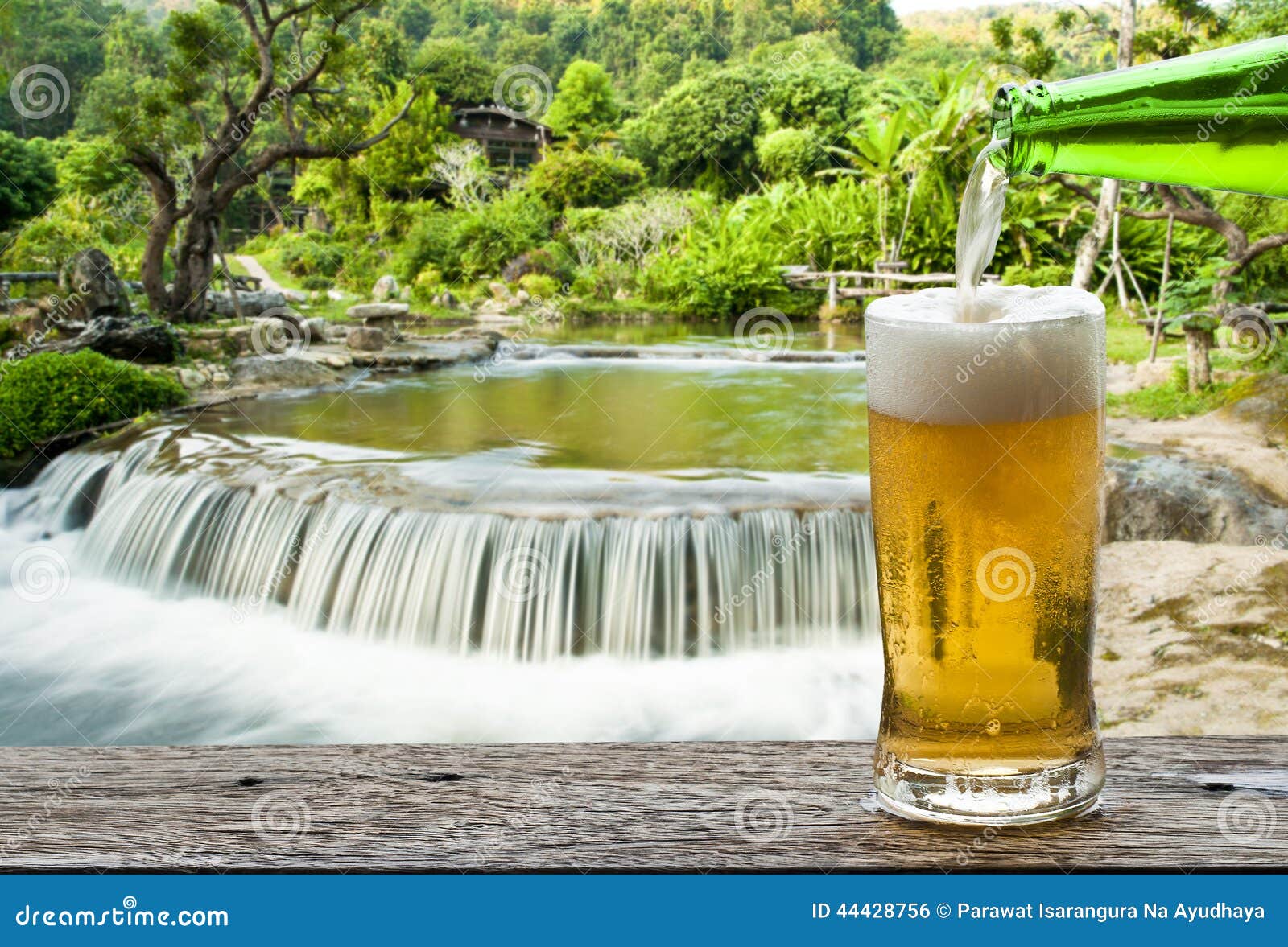Enjoy beer with waterfall. stock photo. Image of golden - 44428756