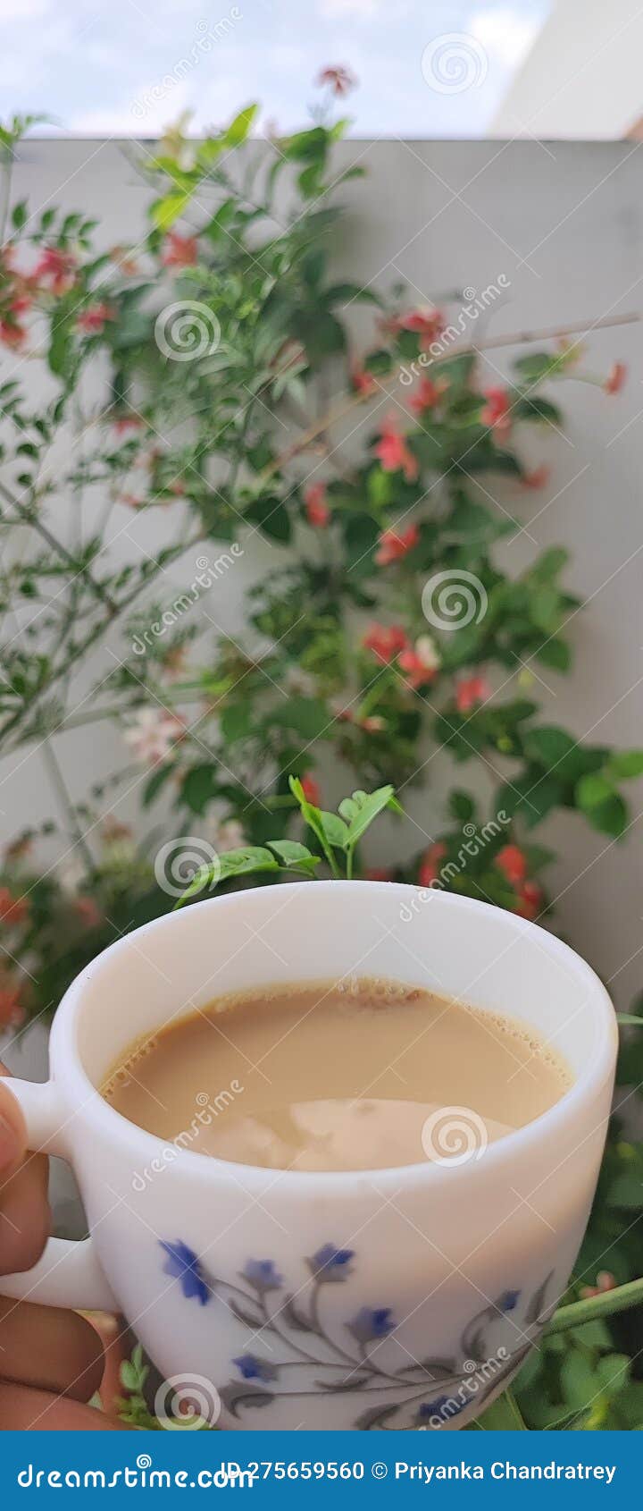 Enjoy a Cup of Tea on the Balcony with Green Plants in Back Stock Photo ...