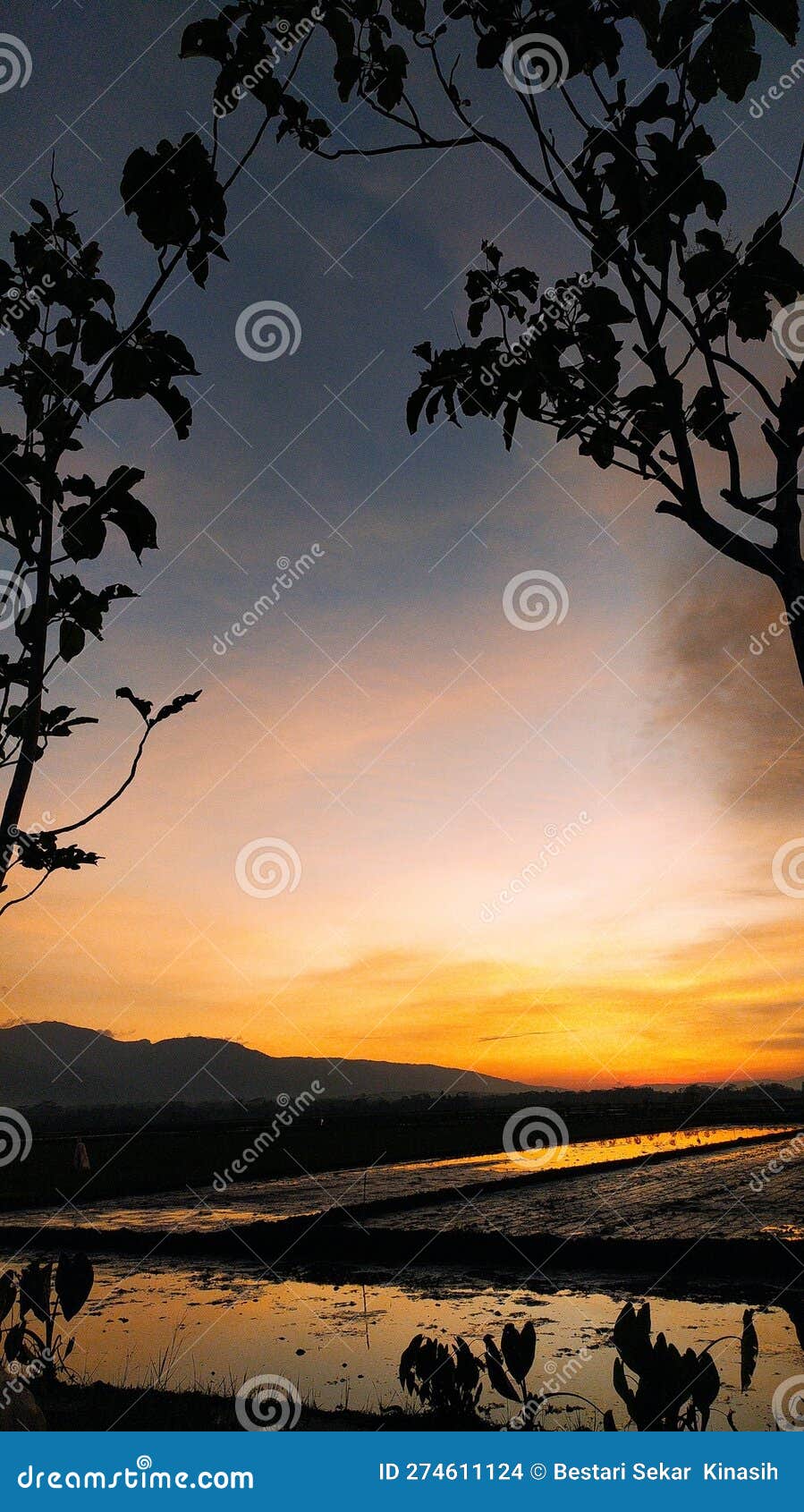Enjoy the Evening View before Sunset Stock Photo - Image of dusk, dawn ...