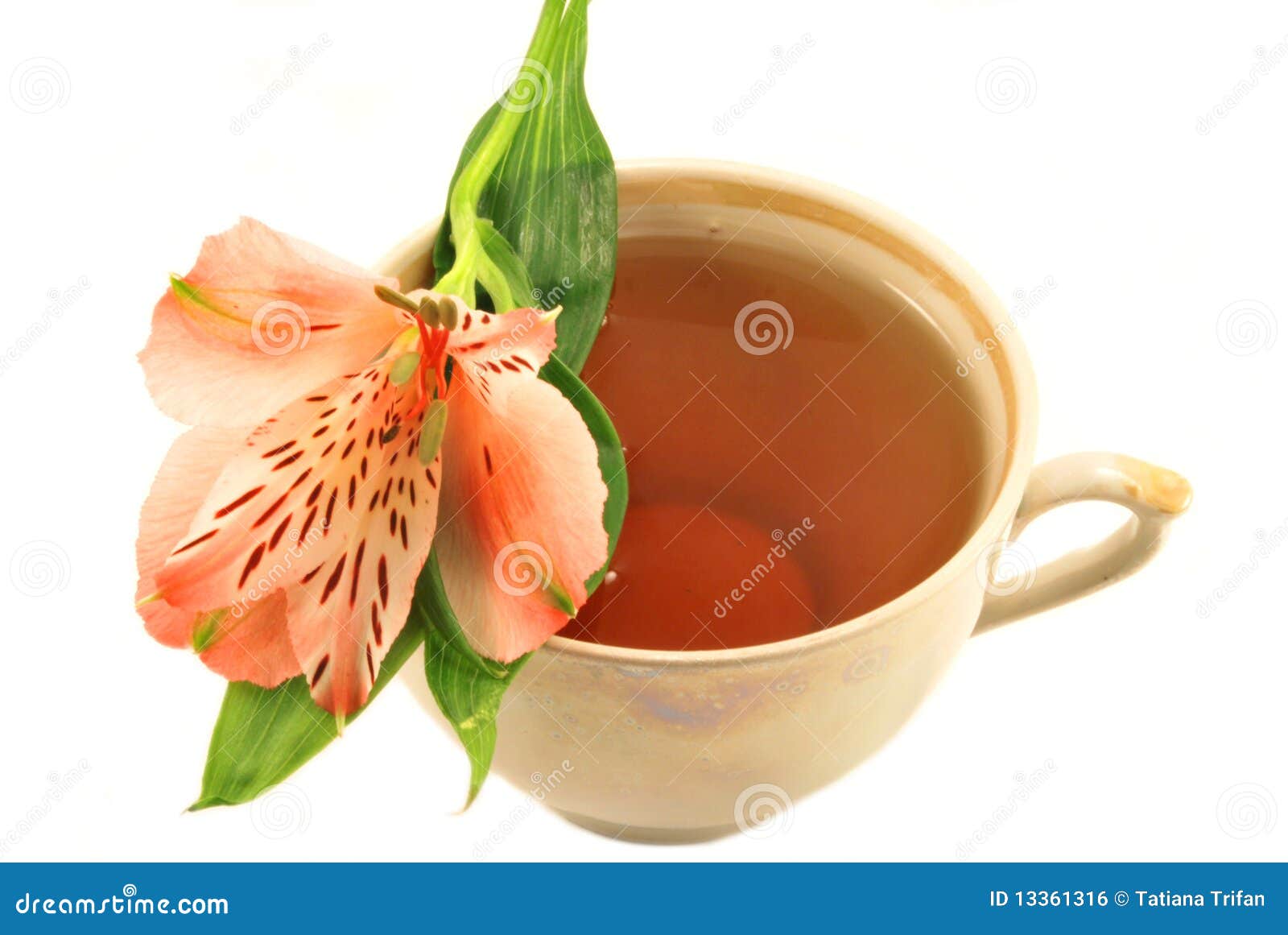 Enjoy the flower flavor stock photo. Image of decoration - 13361316