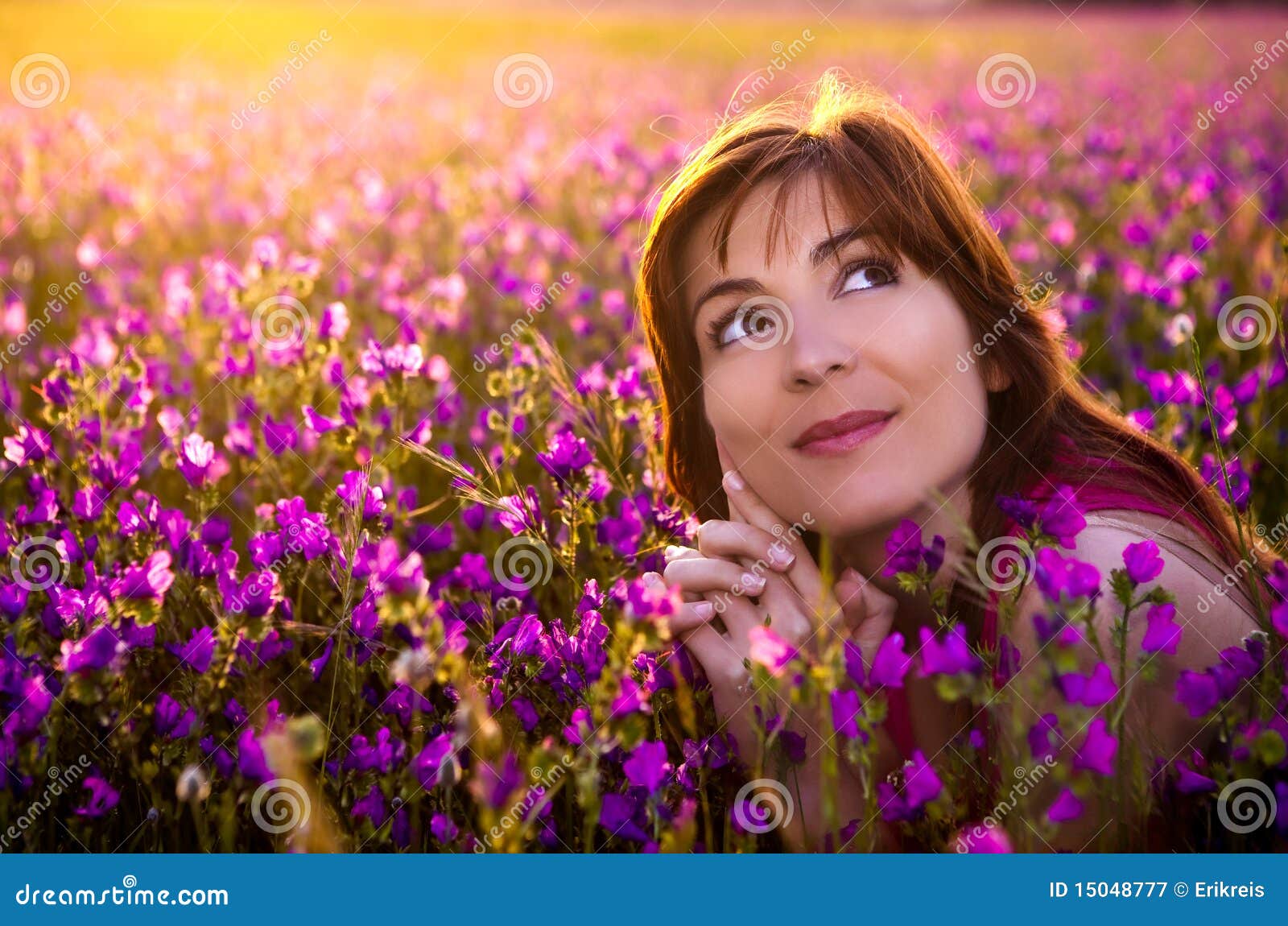 Enjoy the nature stock image. Image of pretty, cute, meadow - 15048777