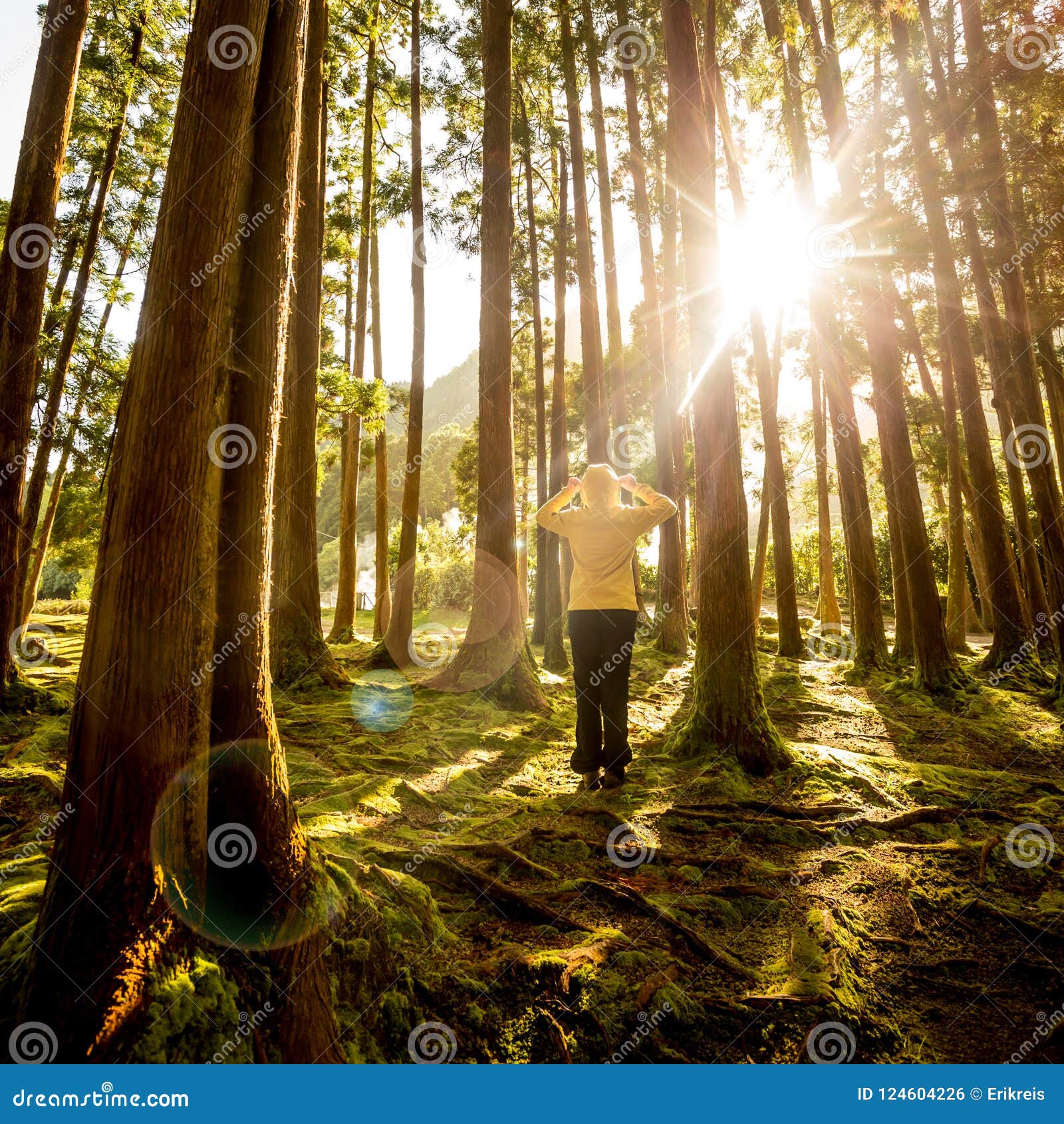 Enjoy the nature stock photo. Image of azores, outdoor - 124604226