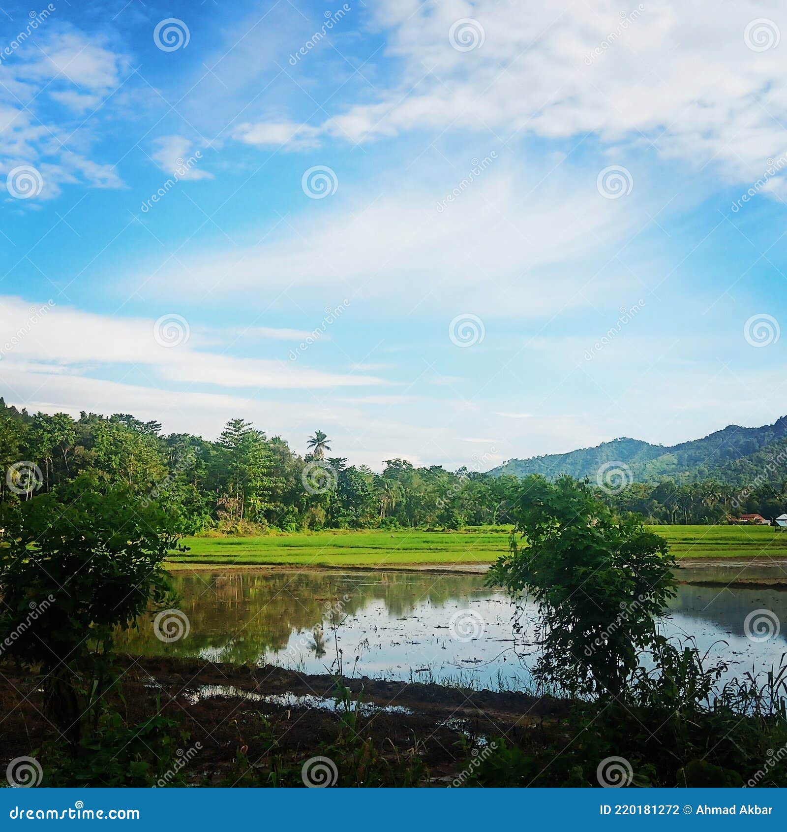 Enjoy the Panoramic View of the Natural Lake after a Leave of Absence ...