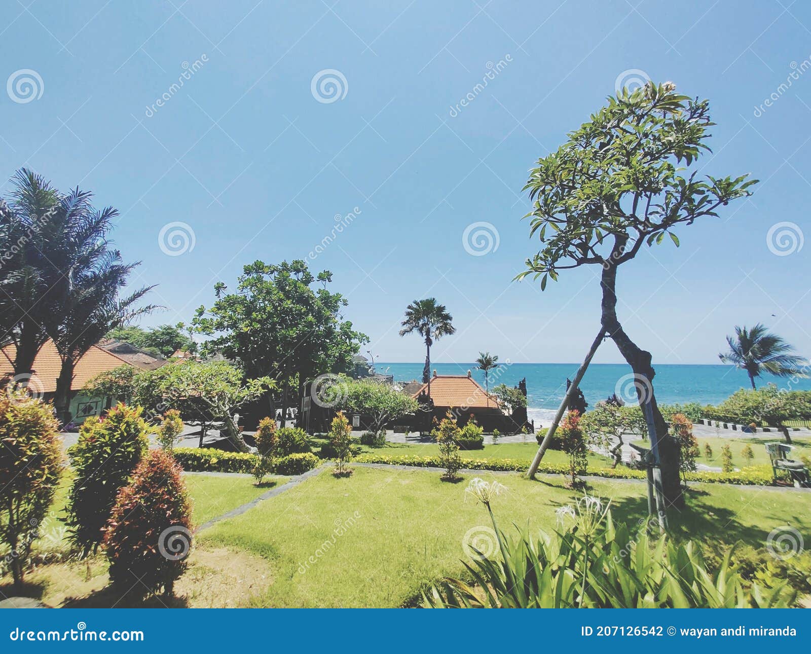 Enjoy the scenery of bali stock photo. Image of tree - 207126542