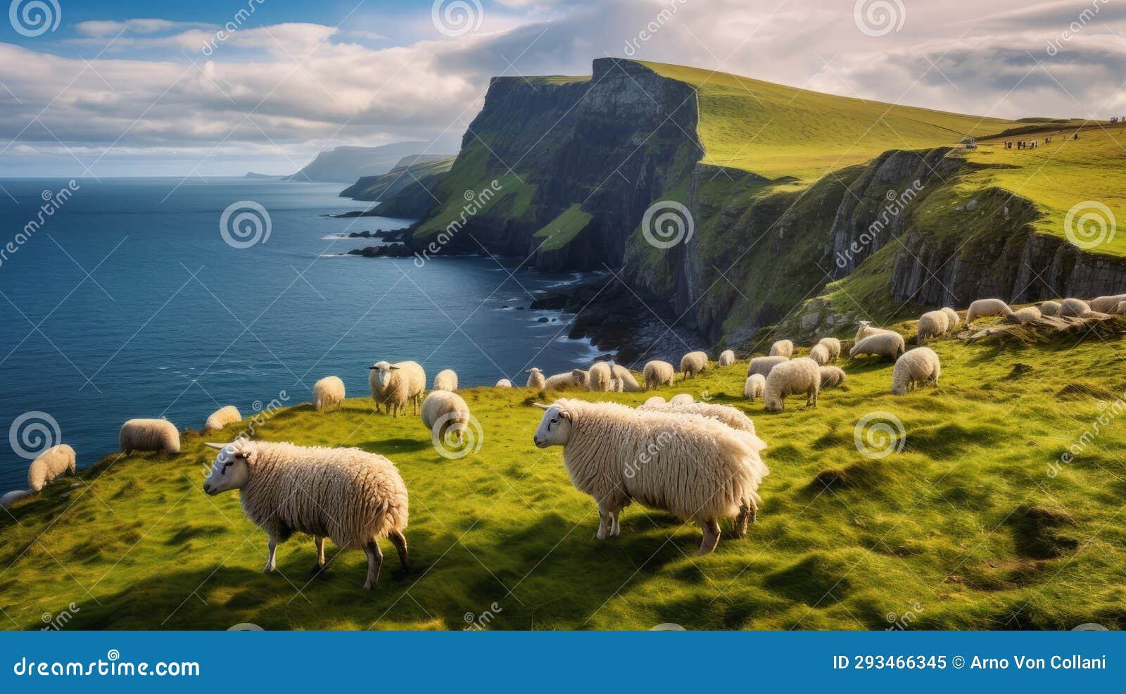 Tranquil Moments: Sheep Grazing Along the Rugged Irish West Coast ...