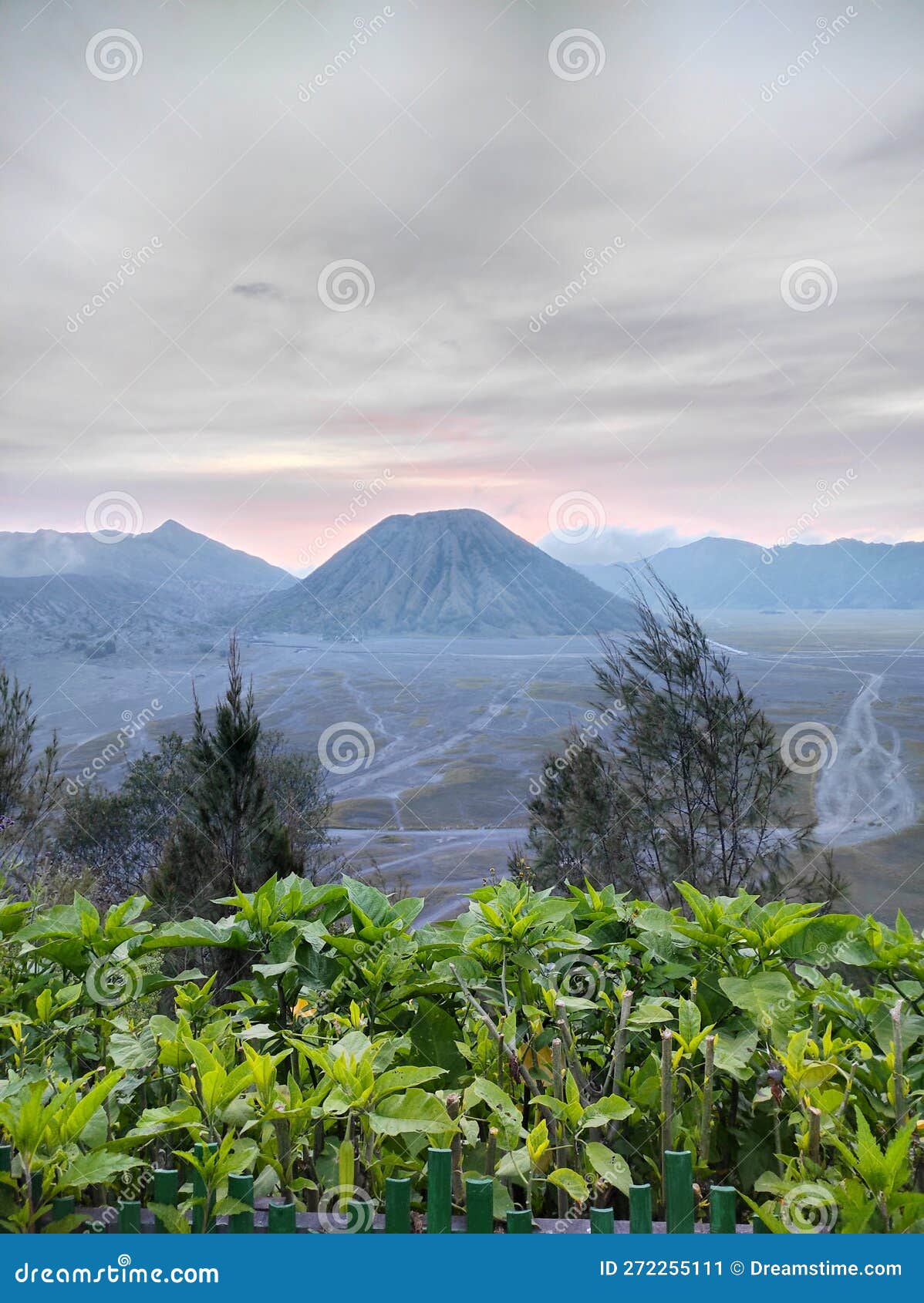 Enjoy Sunrise at Bromo Mountain Indonesia Stock Image - Image of bromo ...