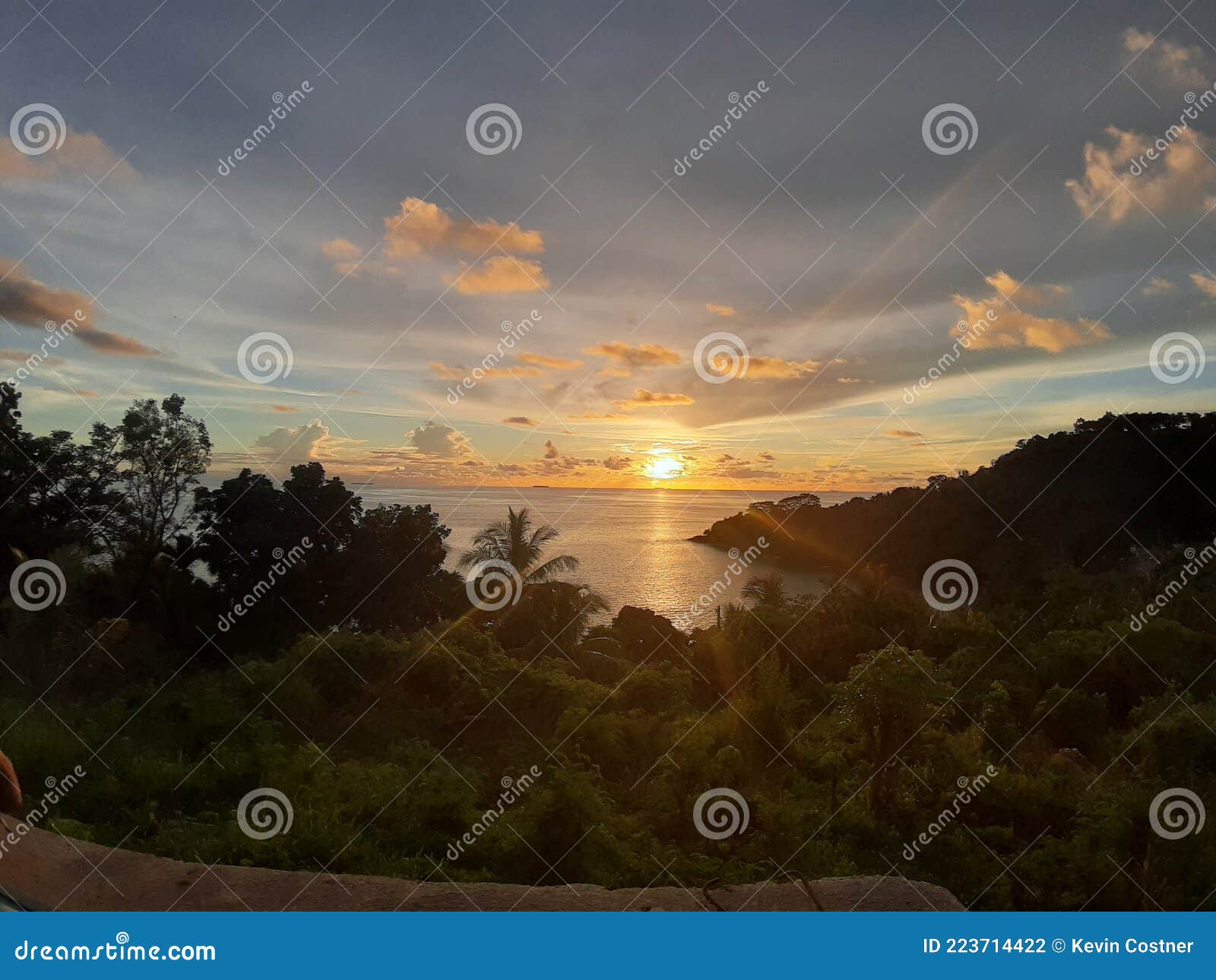 Enjoy the sunset stock photo. Image of tree, sunlight - 223714422