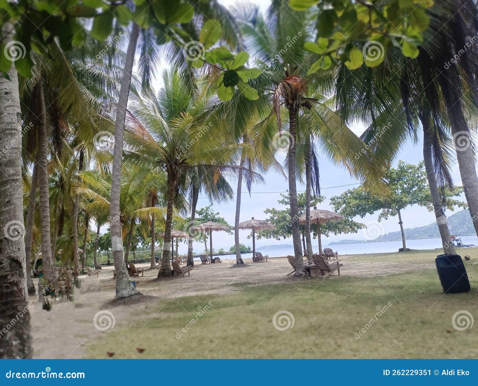 Enjoy Your Life Under Coconut Trees Stock Image - Image of resort ...
