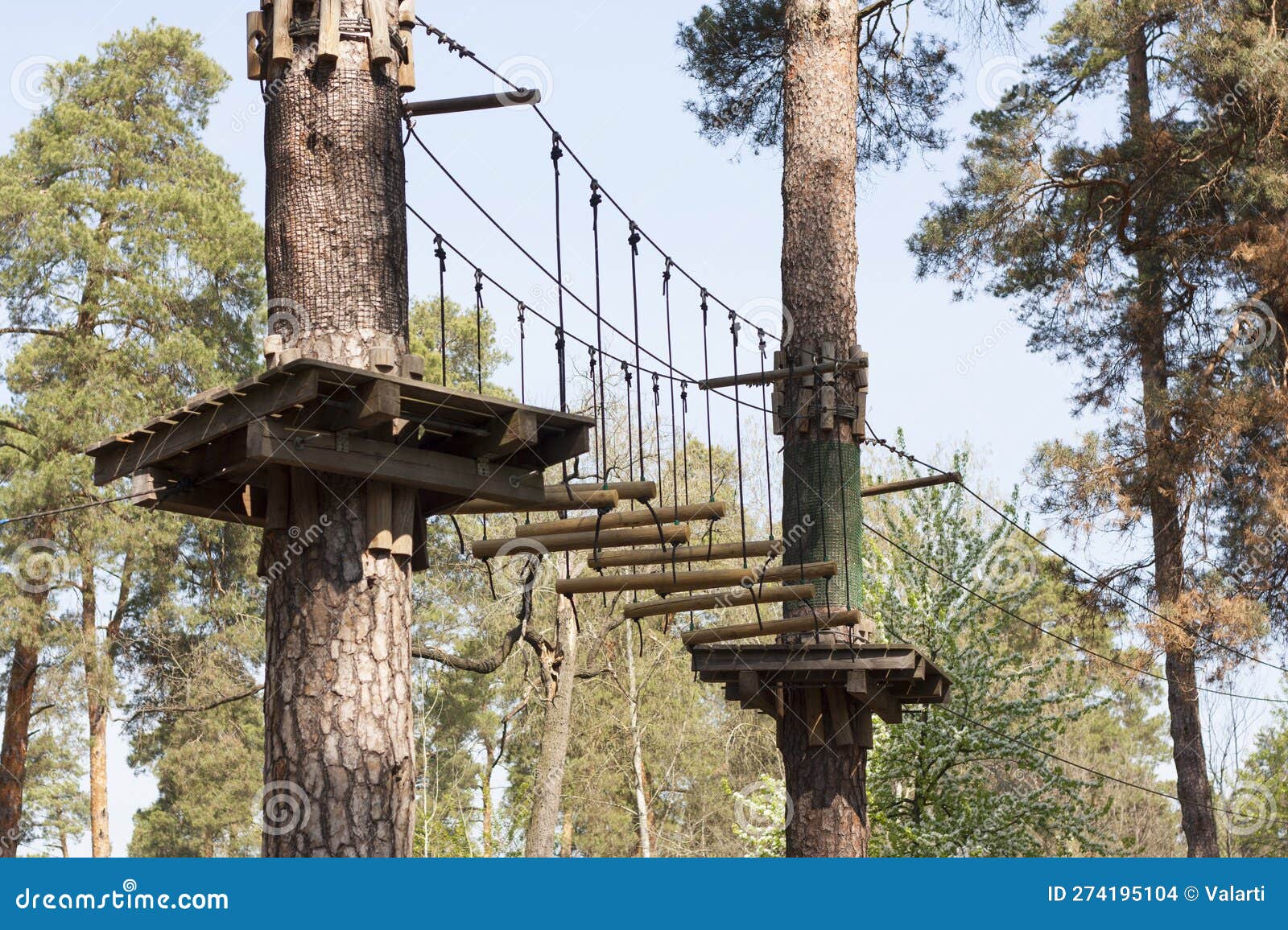 Enjoying Activity in a Climbing Adventure Park Photo Stock Photo ...
